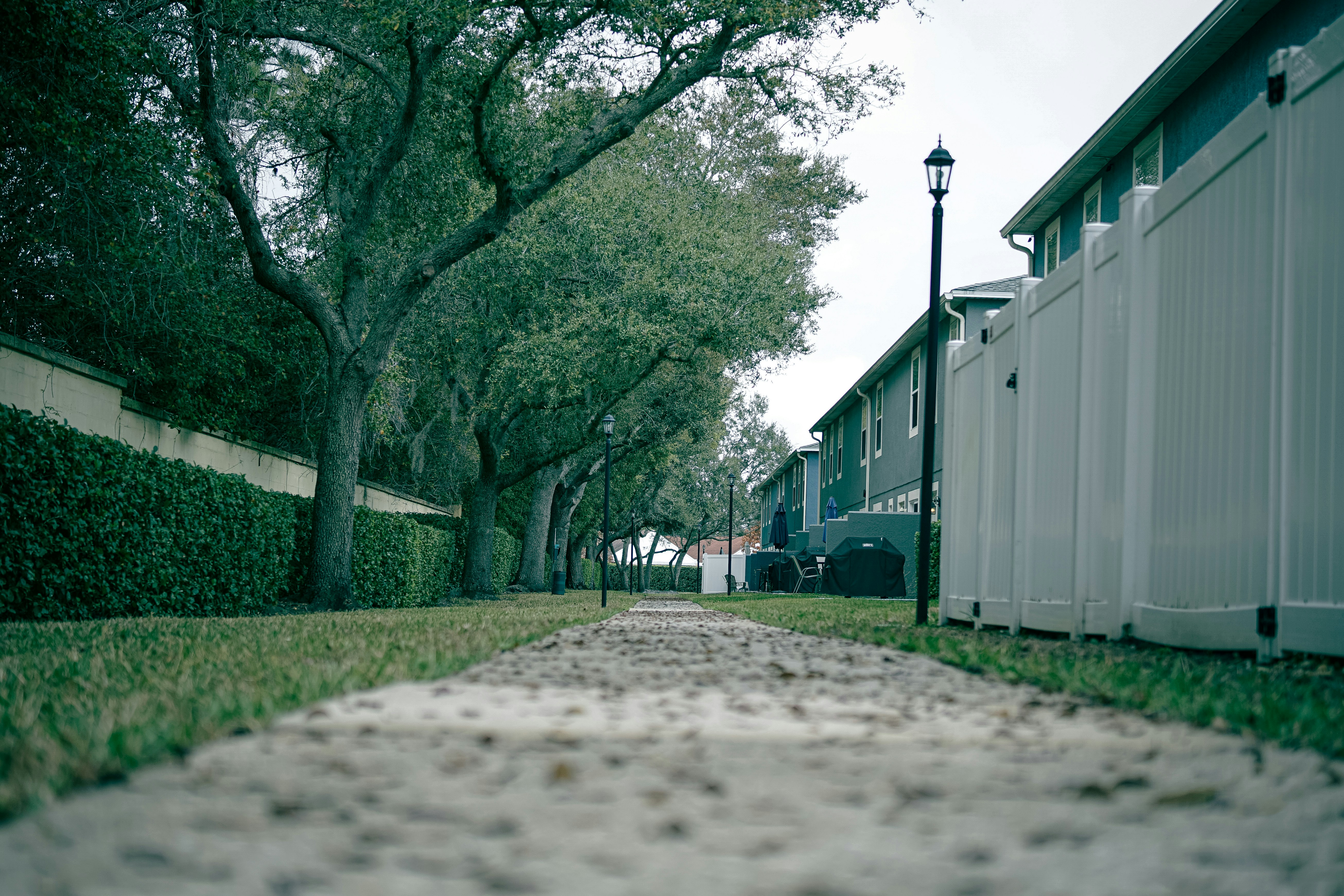 Sidewalk Perspective: A Quiet Corridor Between Homes