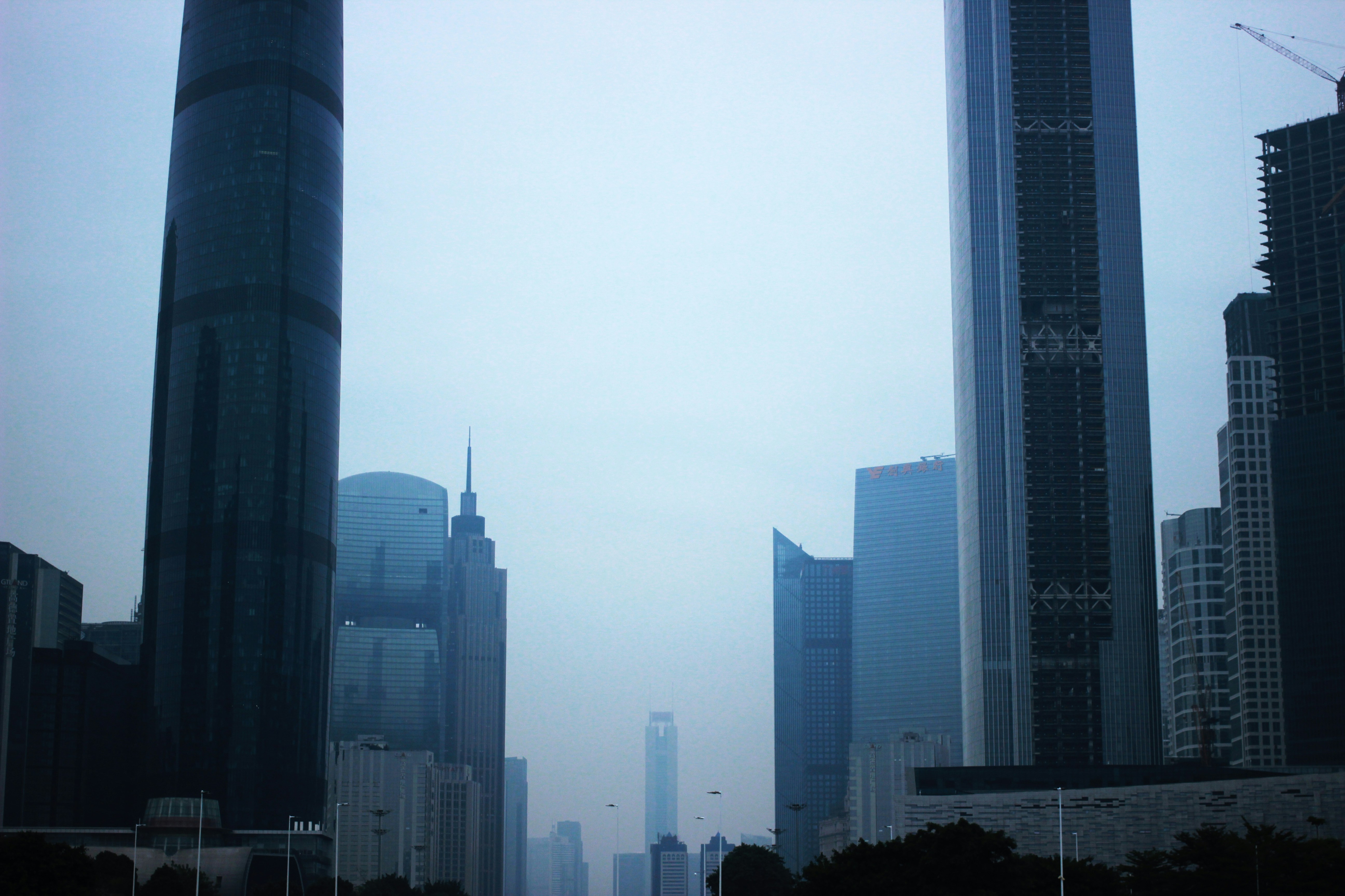 Midday Mirage: Skyscrapers Ascend Through Light Mist
