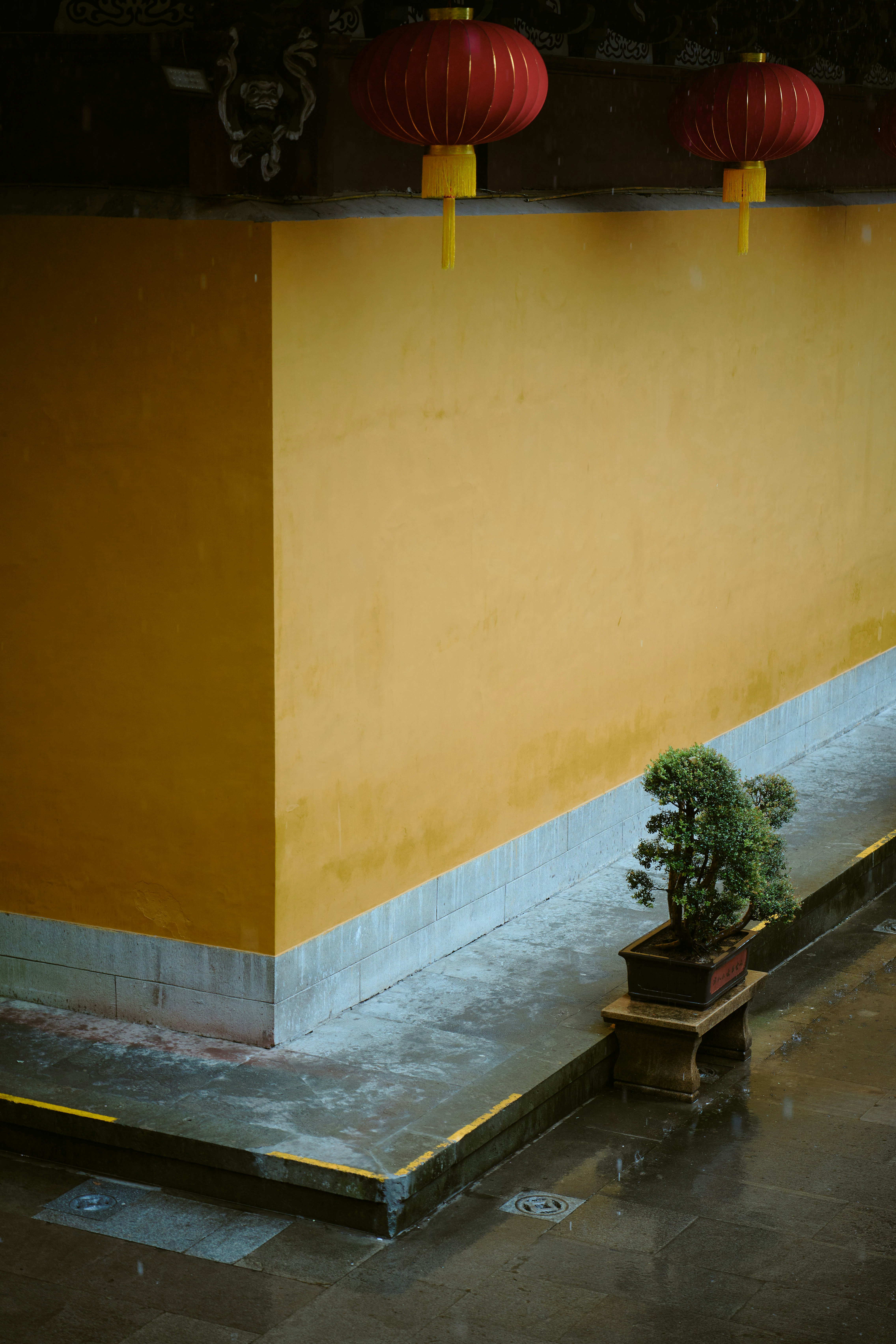 Amber Wall and Bonsai at Golden Temple