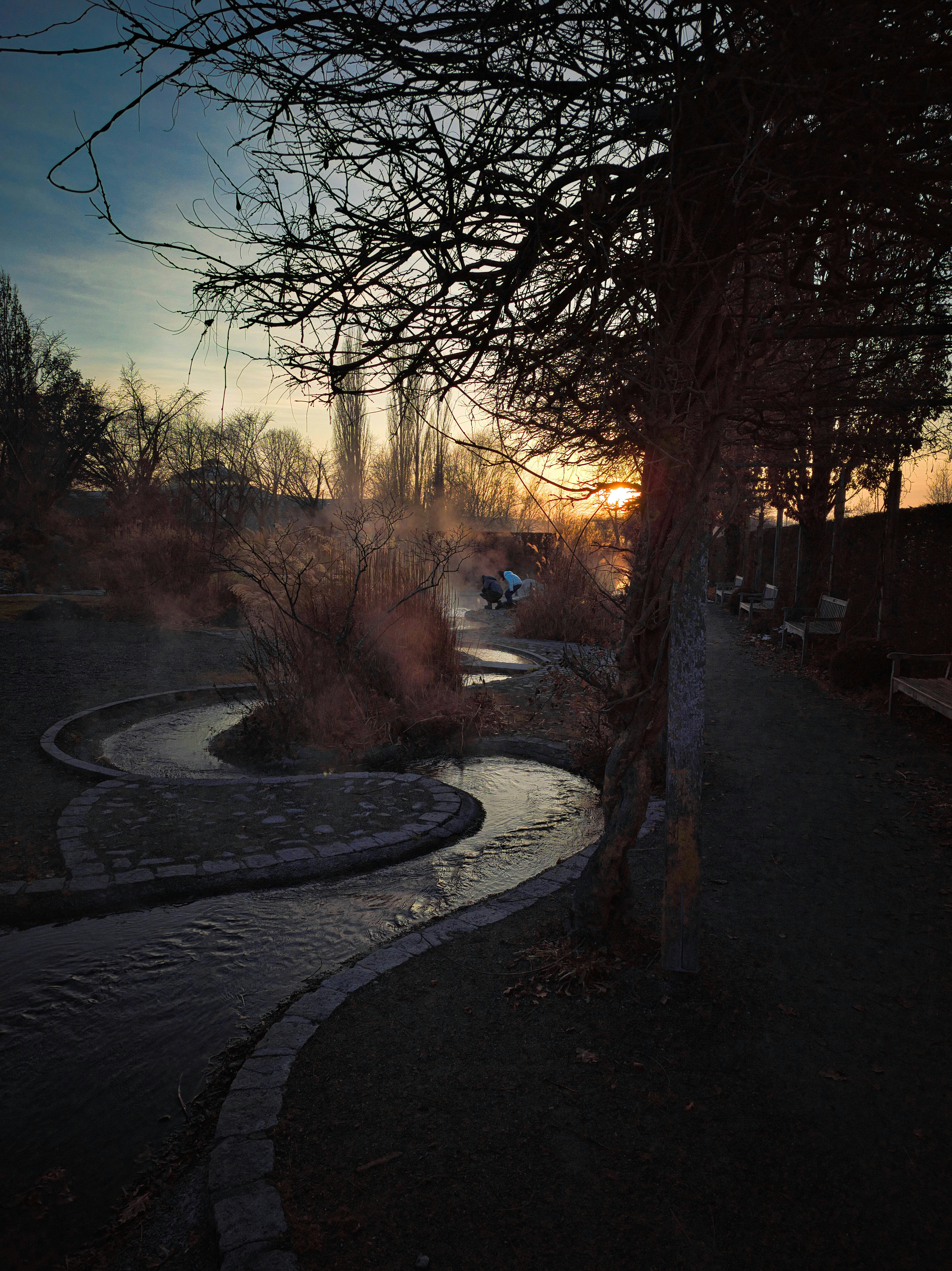 Sunset in the Woven Garden: A Quiet Canal Strewn with Steam and Shadow