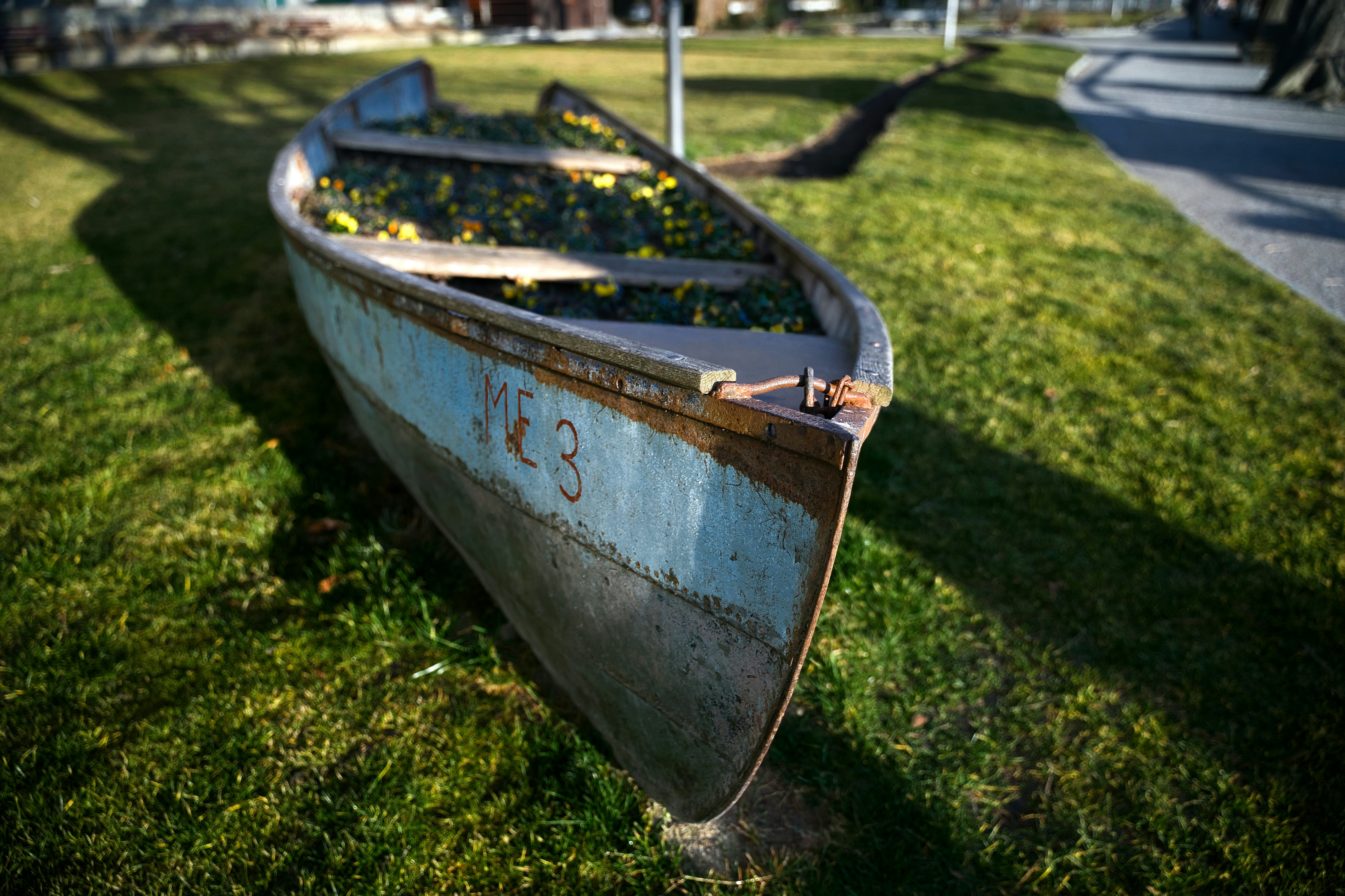 Rusty Boats: A Sunlit Vessel resting on a Verdant Patch