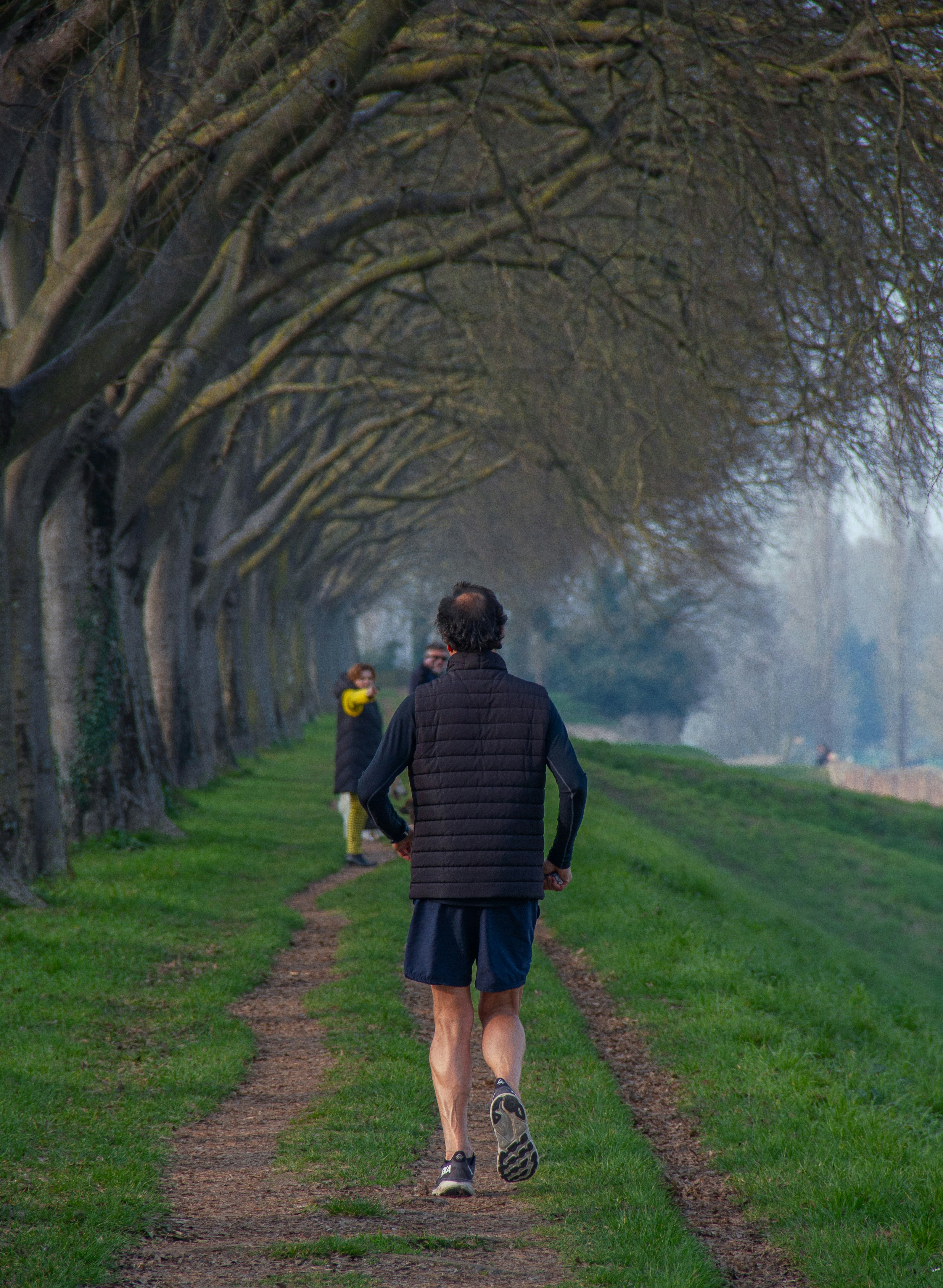 Midweek Stride Under a Canopy of Trees