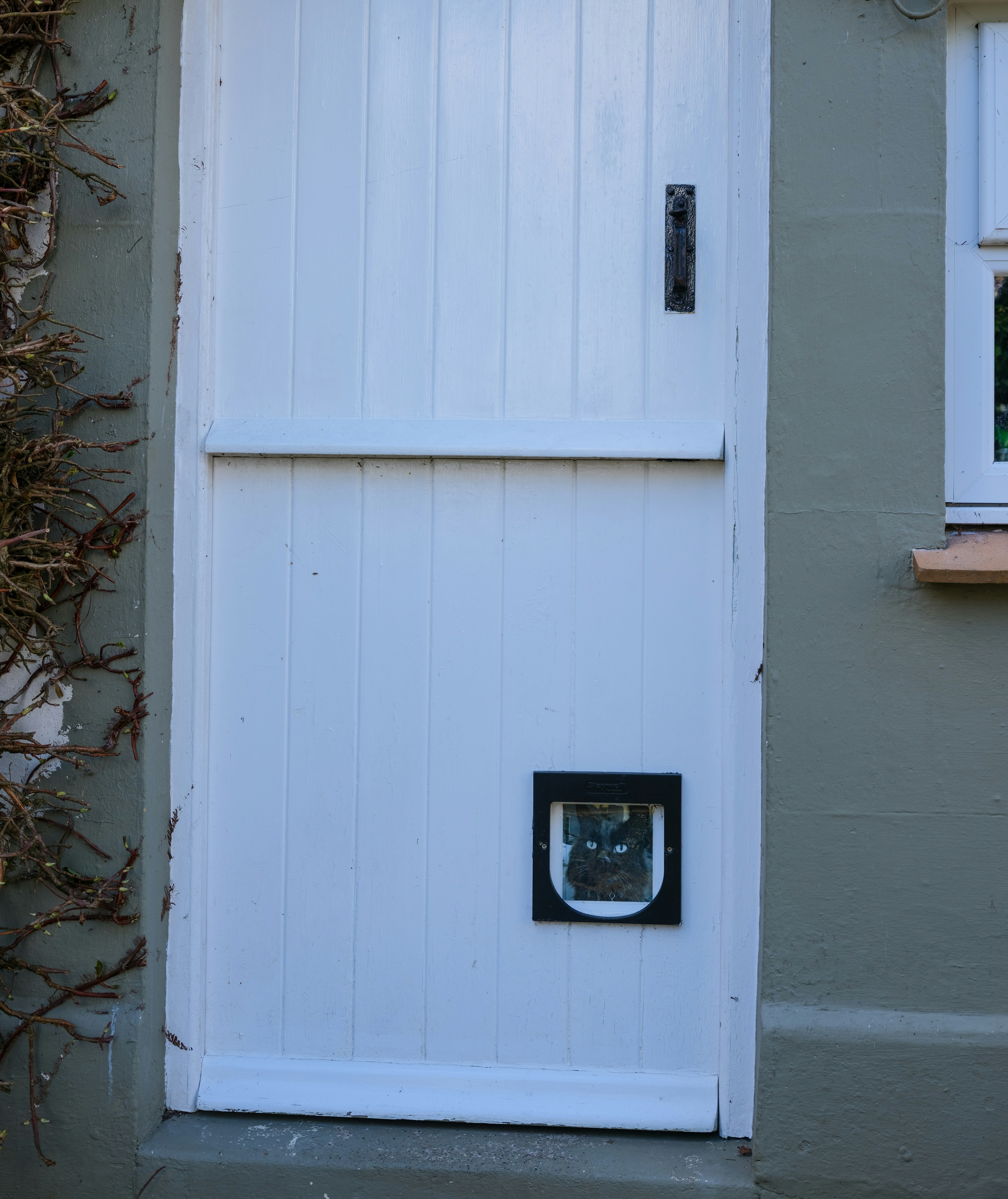 Quiet Doorway to a Hidden Pet Door