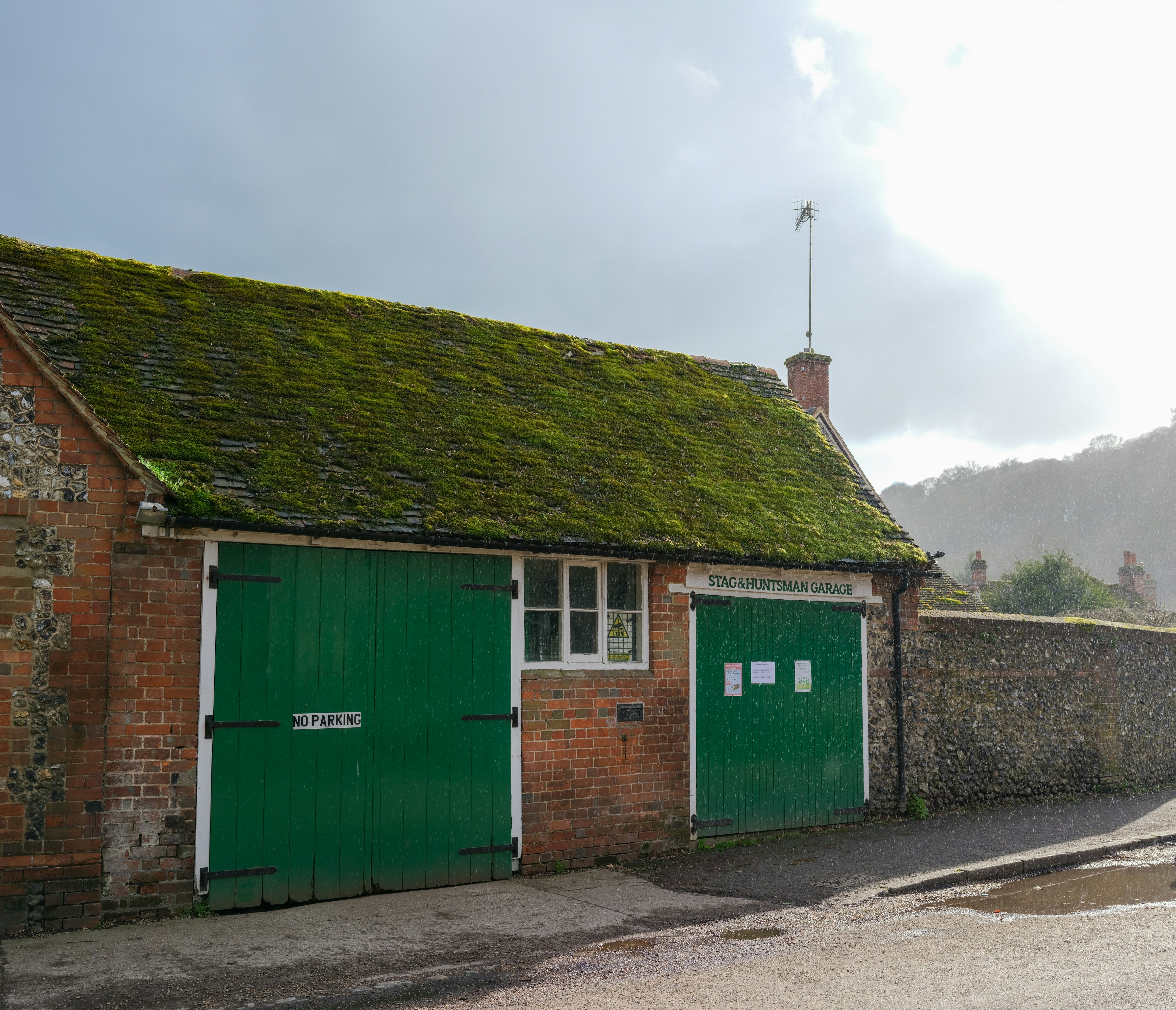 Moss-Coded Garage Doors in a Quiet Village Street