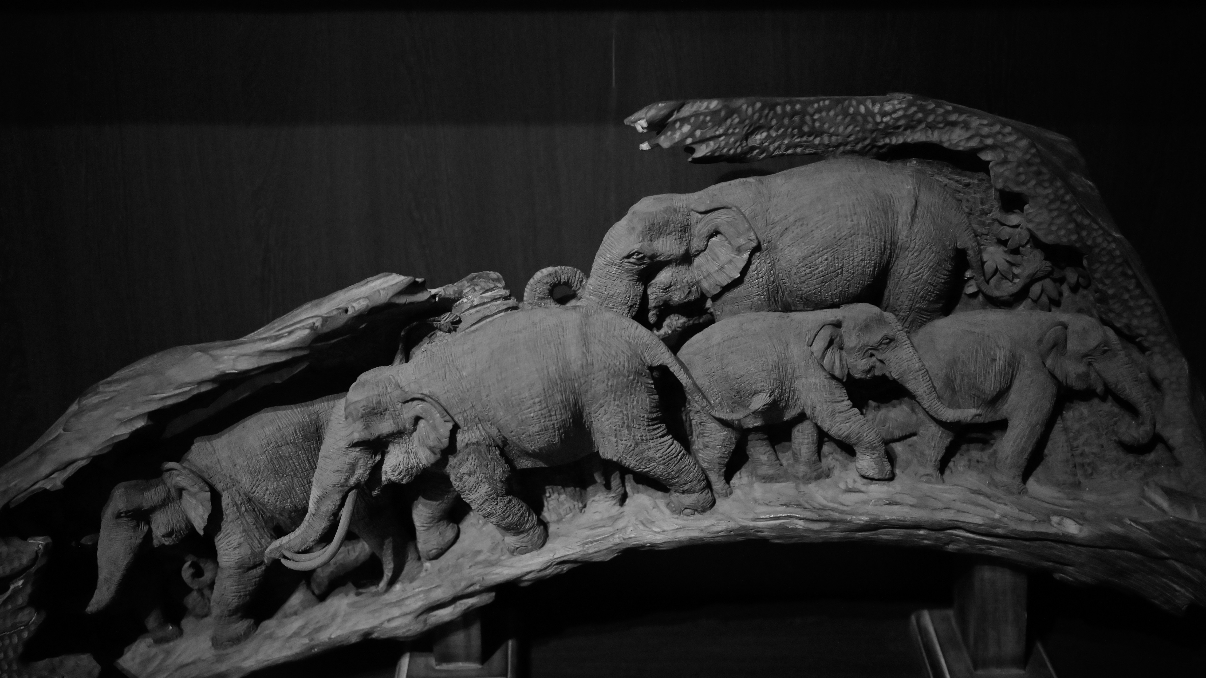 Stone Caravan: Elephants and Companions Carved in Quiet Relief