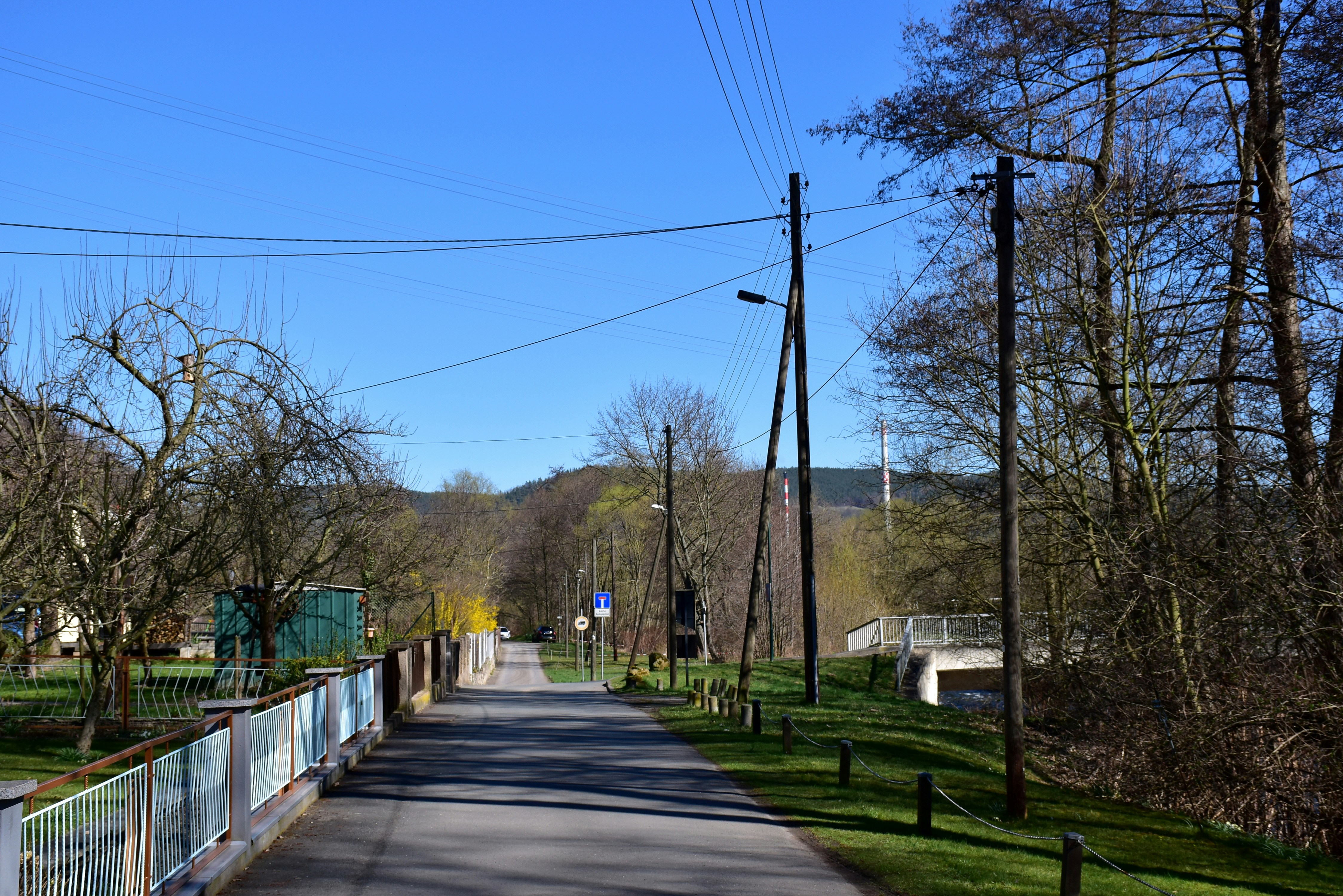 Quiet Road to the Hills: A Sunlit Suburban Path