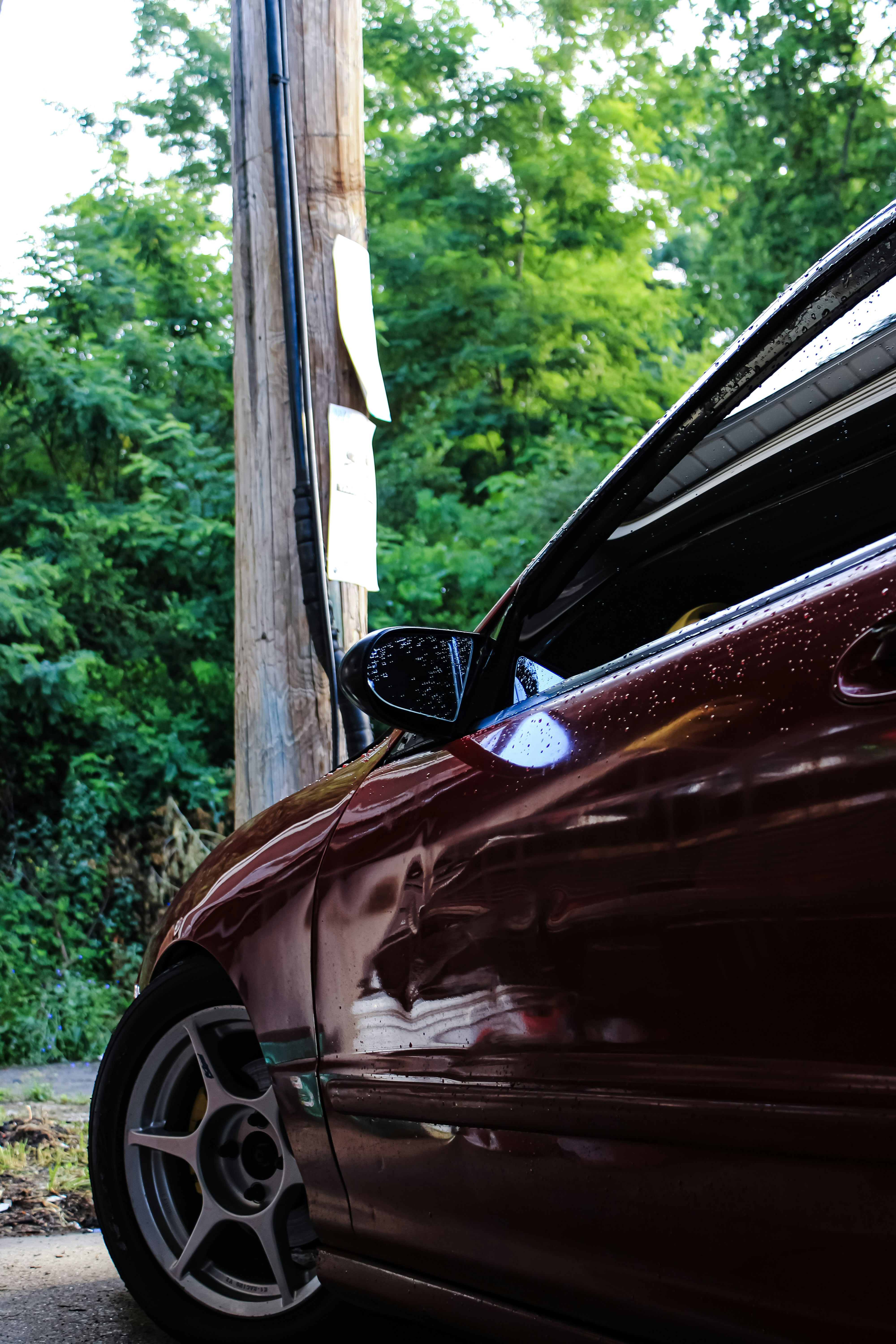 Crushed by Quiet Power: A Maroon Car Amid Green Echoes