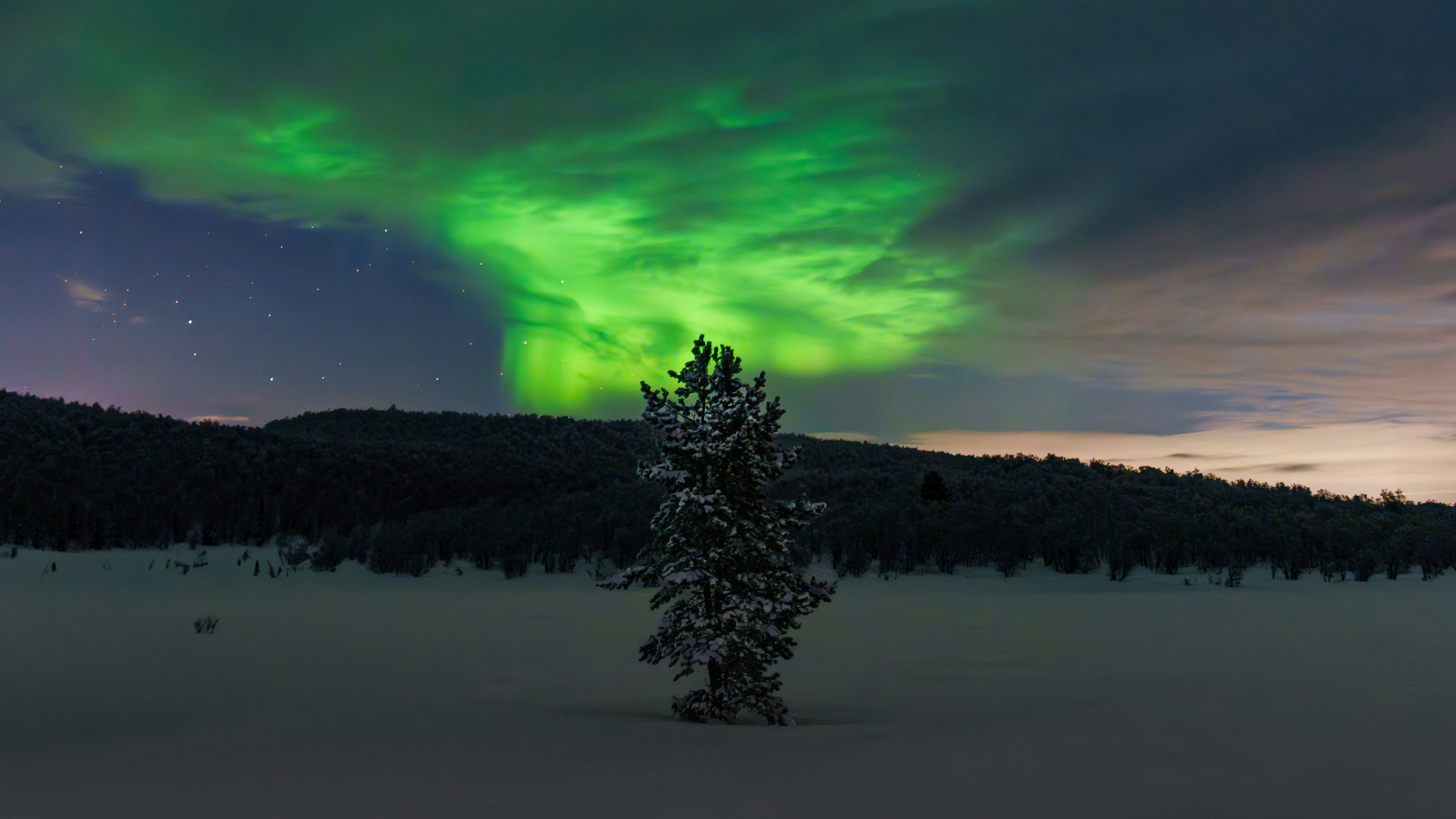 Aurora Over the Lone Pine