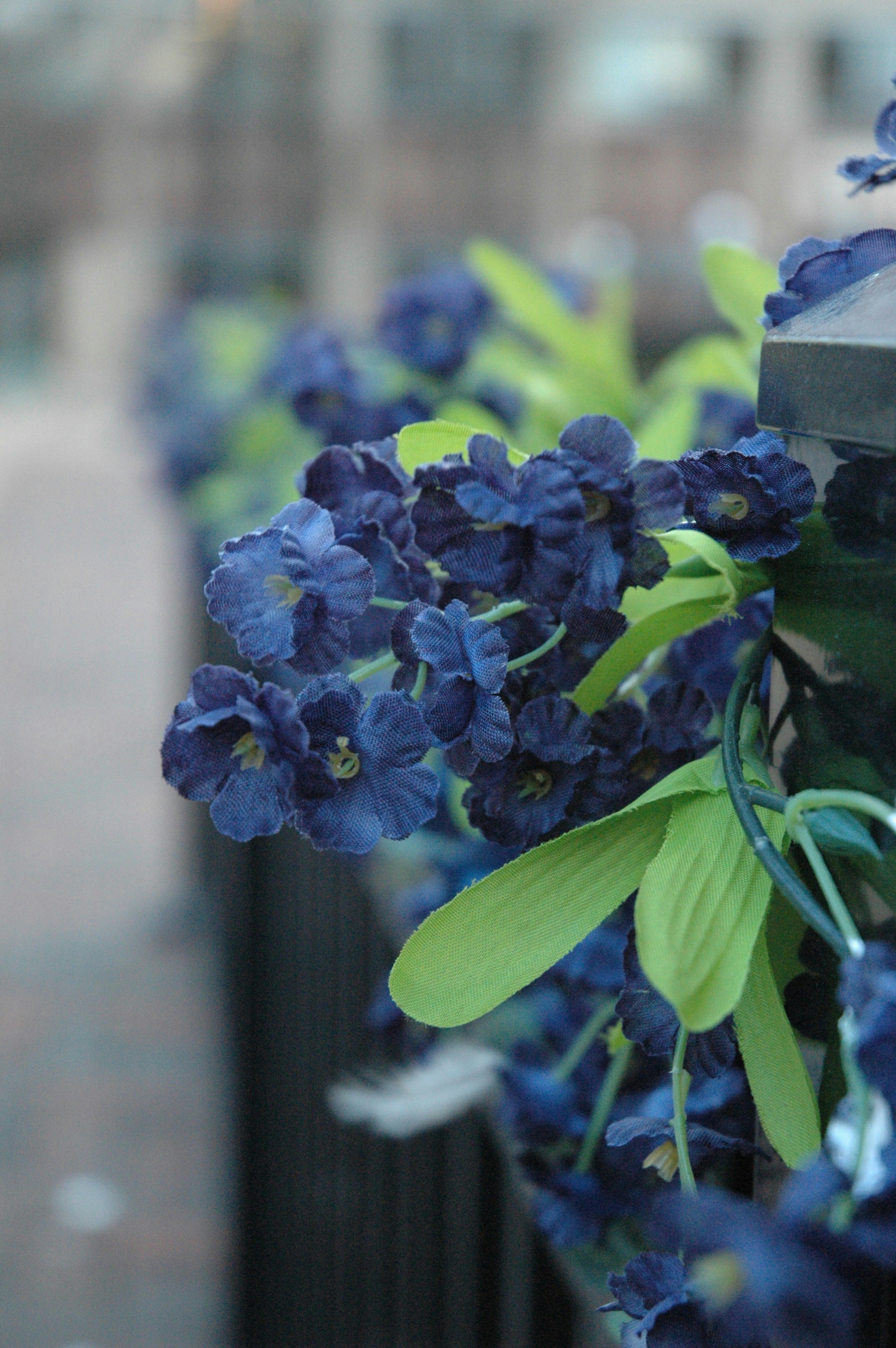 Blue Blooms on a Quiet Balcony Railing