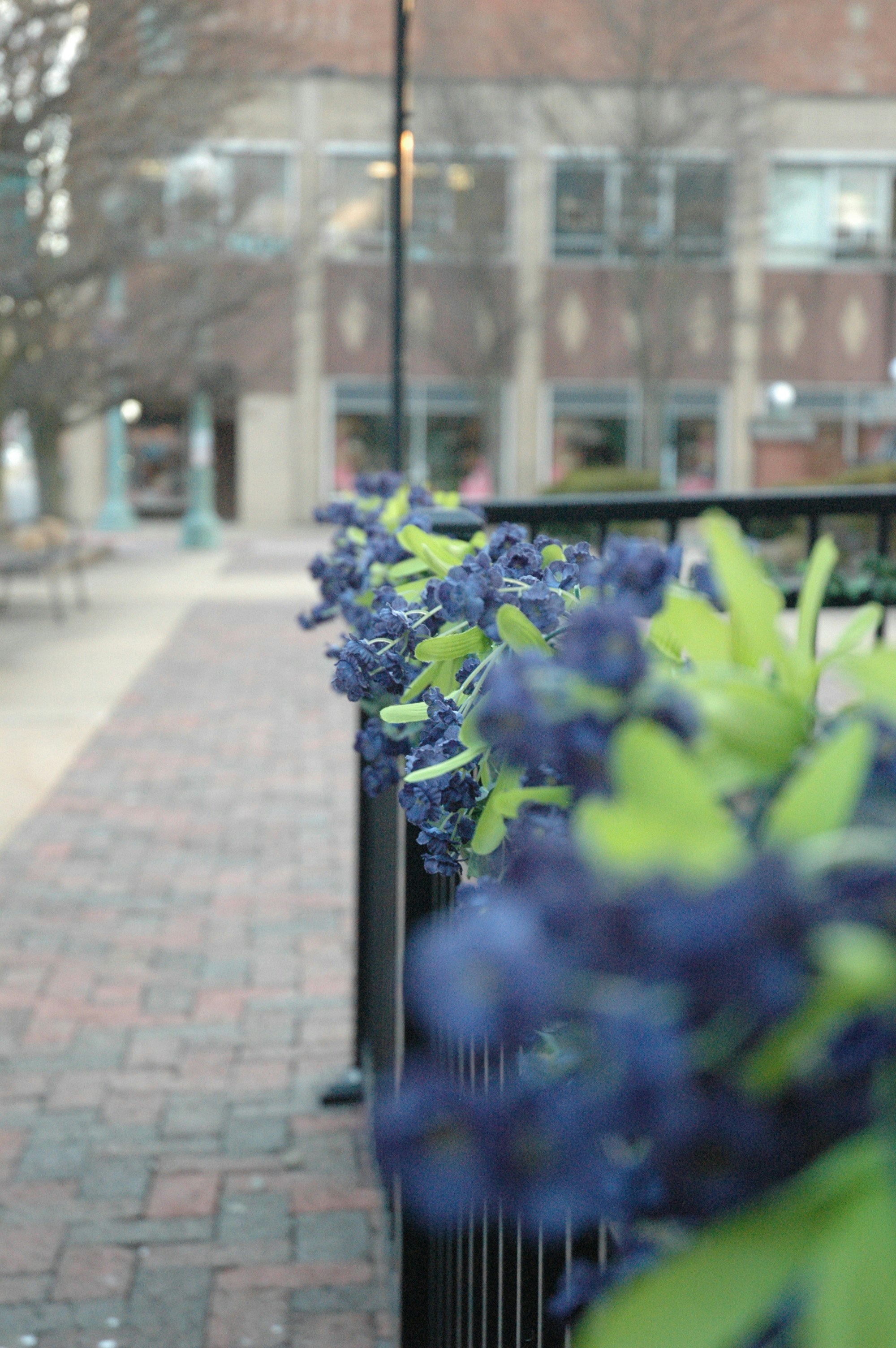 Blurred Blue Cascades at a Rail-Guard Balcony