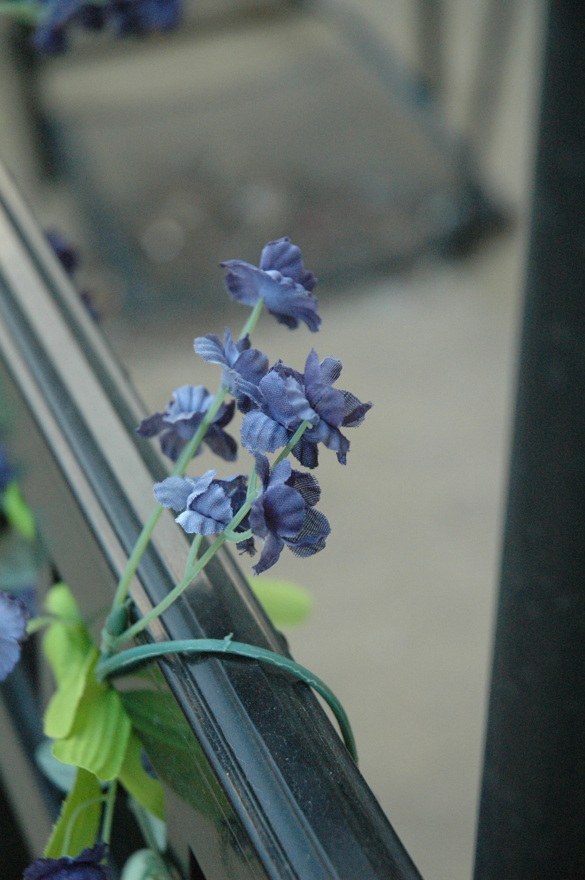 Lavender on the Window Sill: A Quiet Moment in Blue