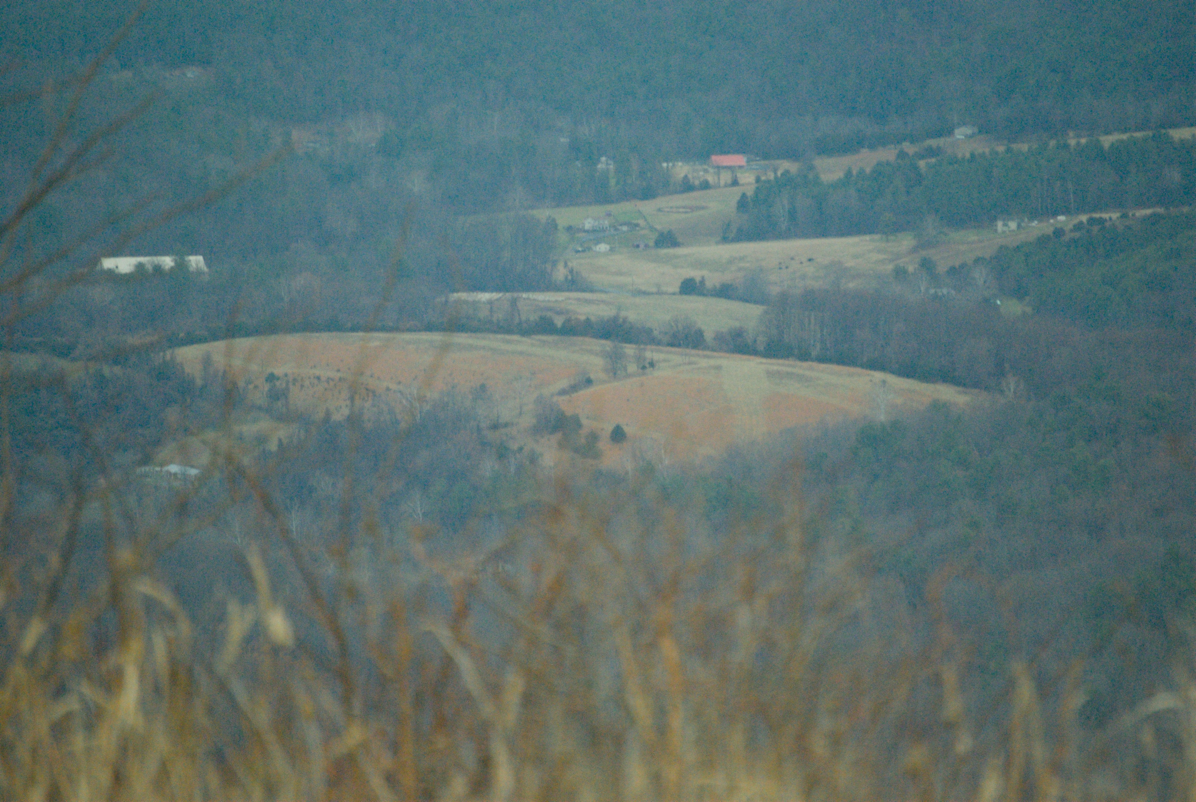 Gentle Valley Crest Amid Dry Grass and Distant Homes