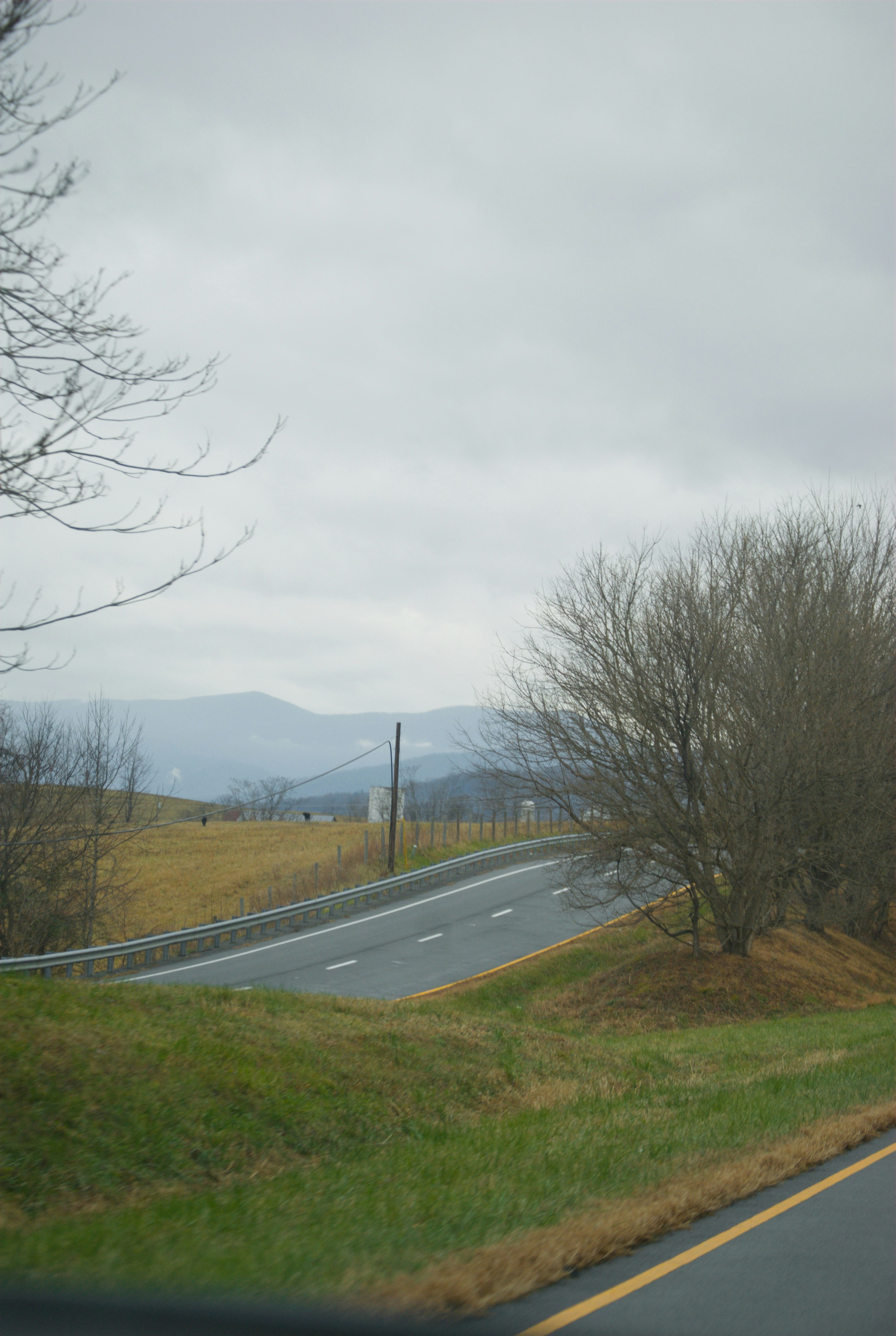 Rural Curves: A Quiet Highway Through Bare Trees
