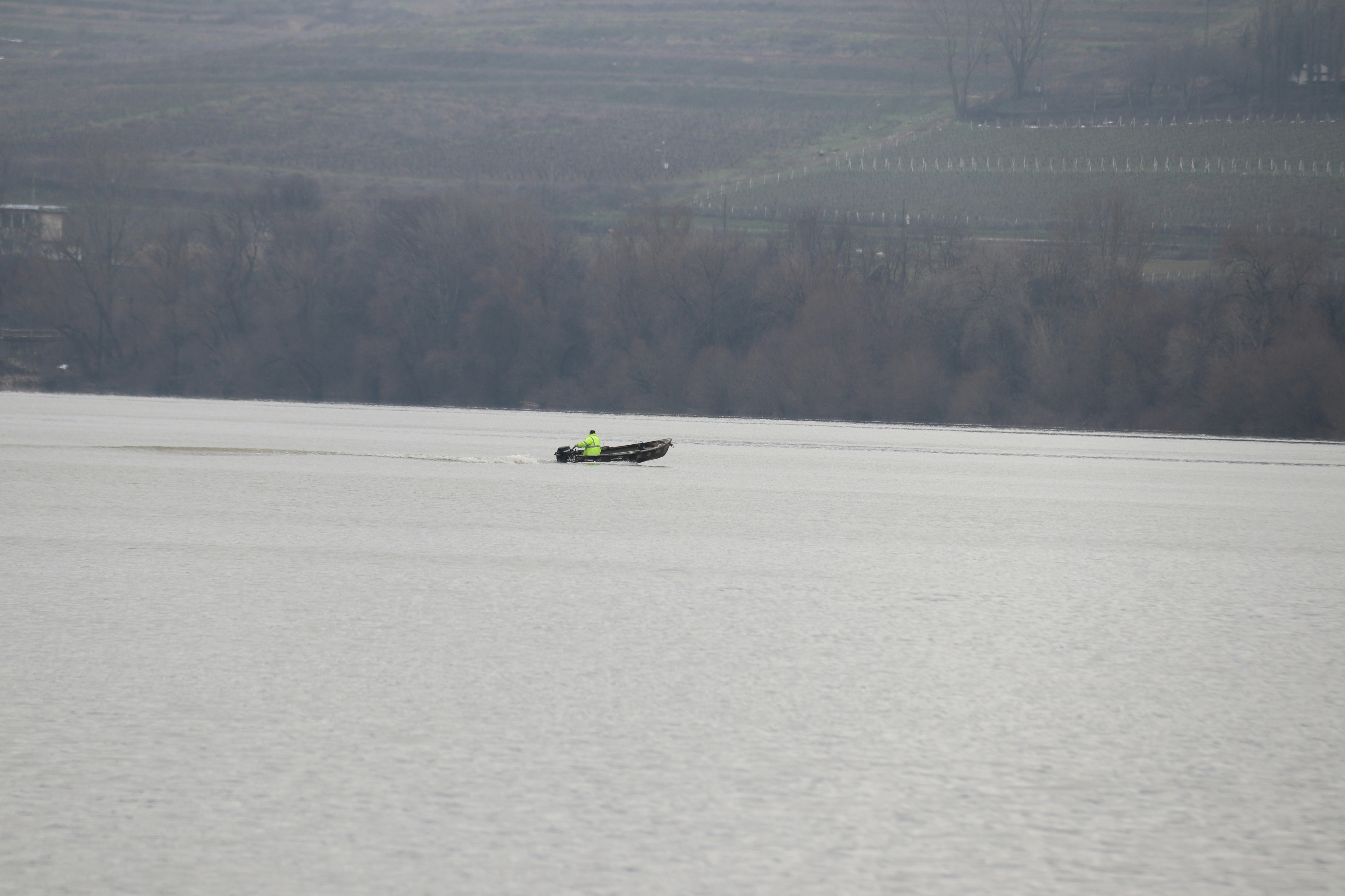 Green Lure Across a Misty Lake