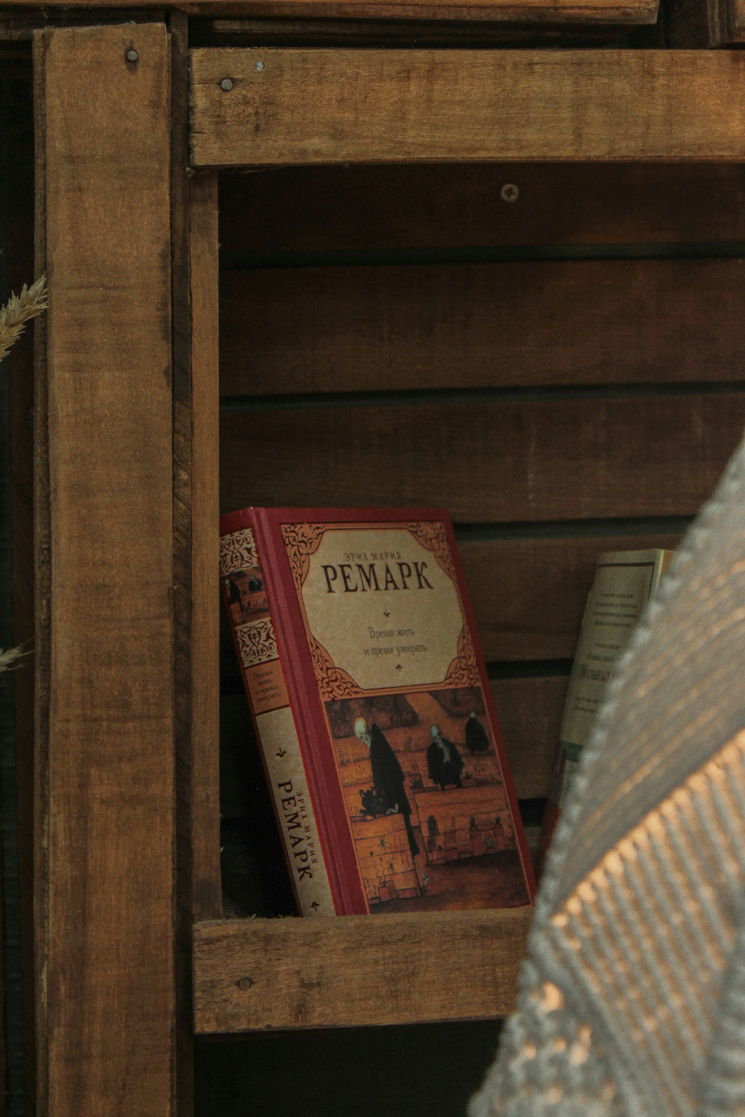 Red-bound Book Quietly Framed in Wooden Shelving