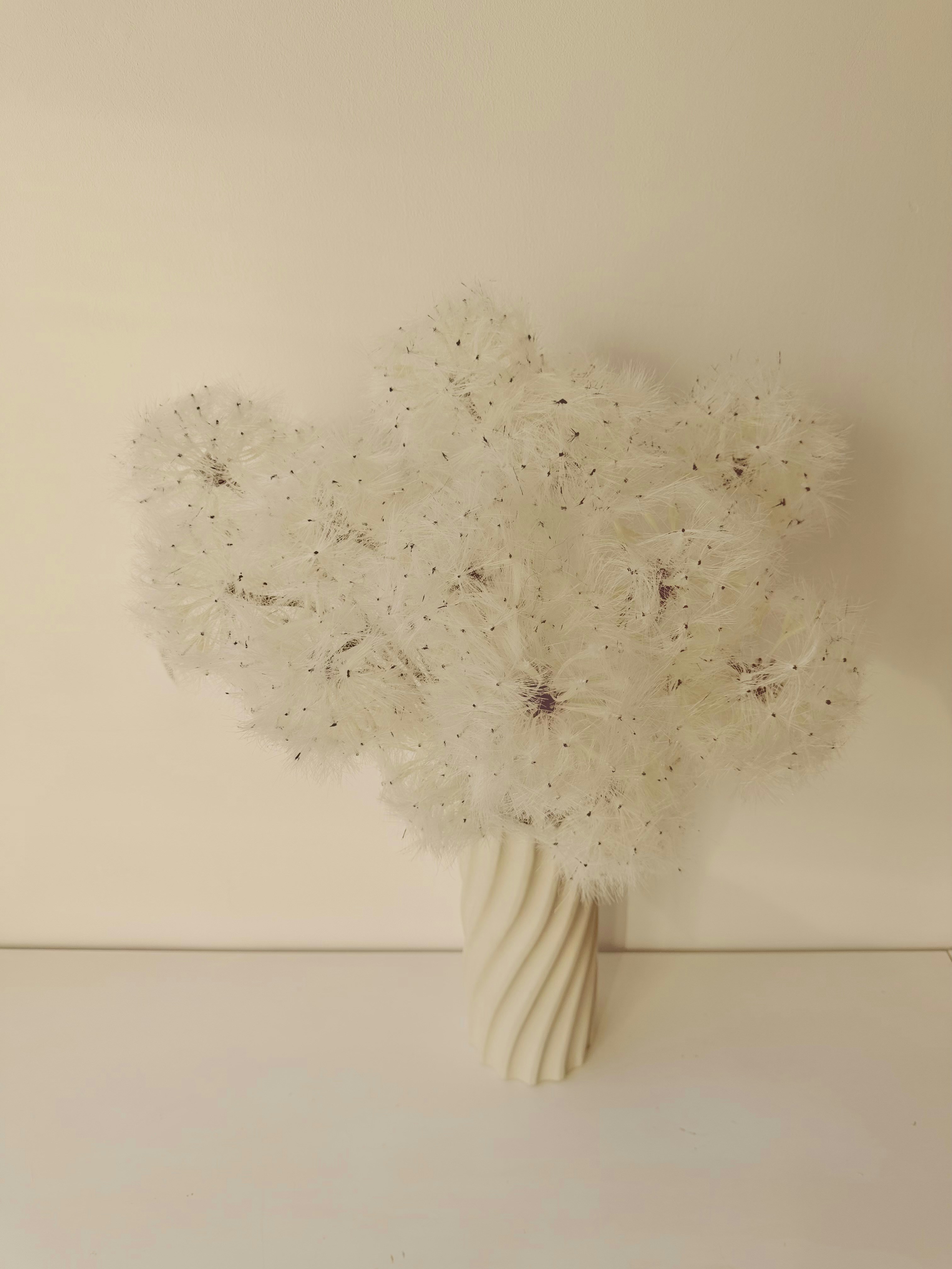 White Dandelion Bouquet in Minimalist Vase