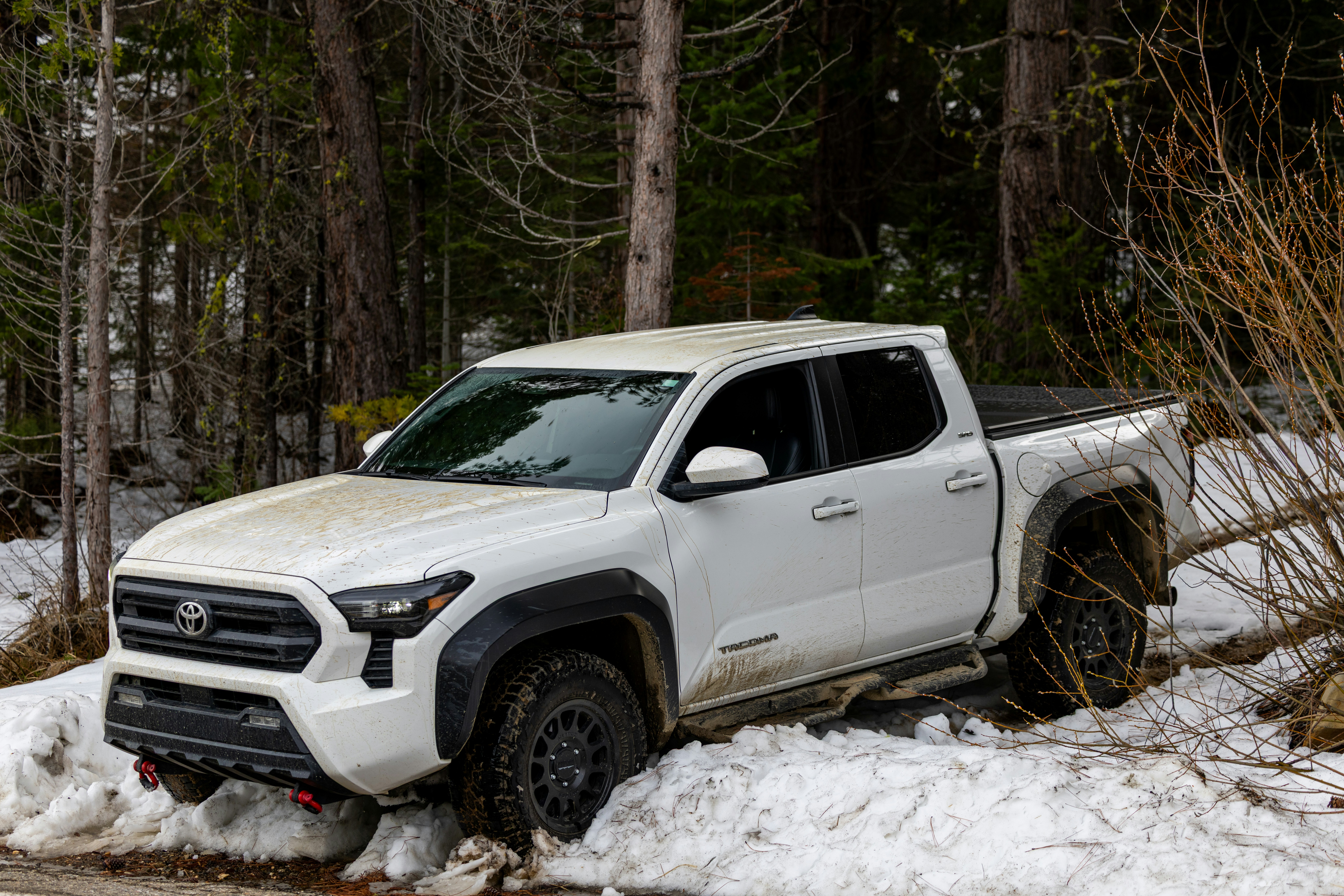 Snowbound Pickup Stuck in the Pines