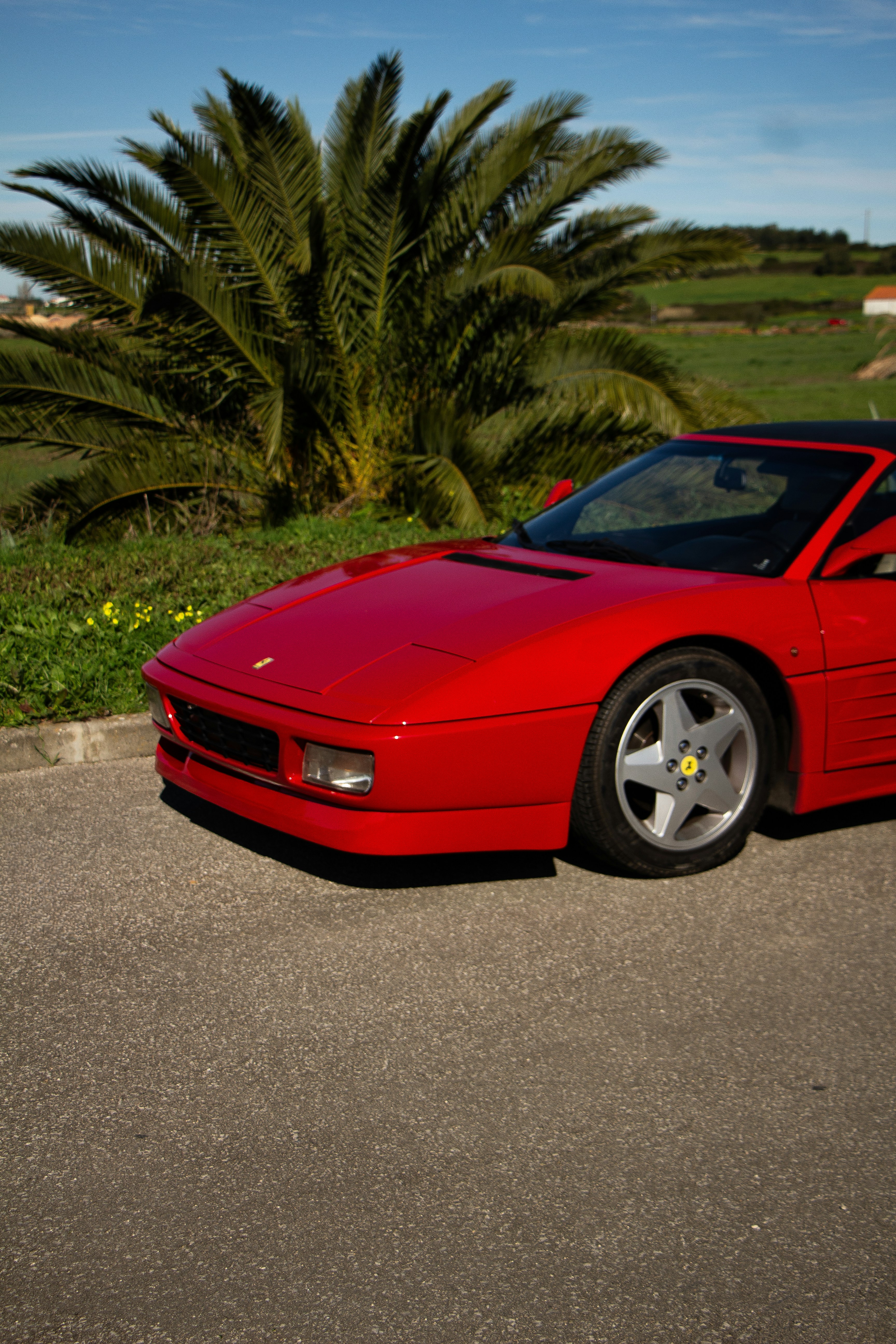 Scarlet Mirage: A Red Ferrari Downslope by the Palm