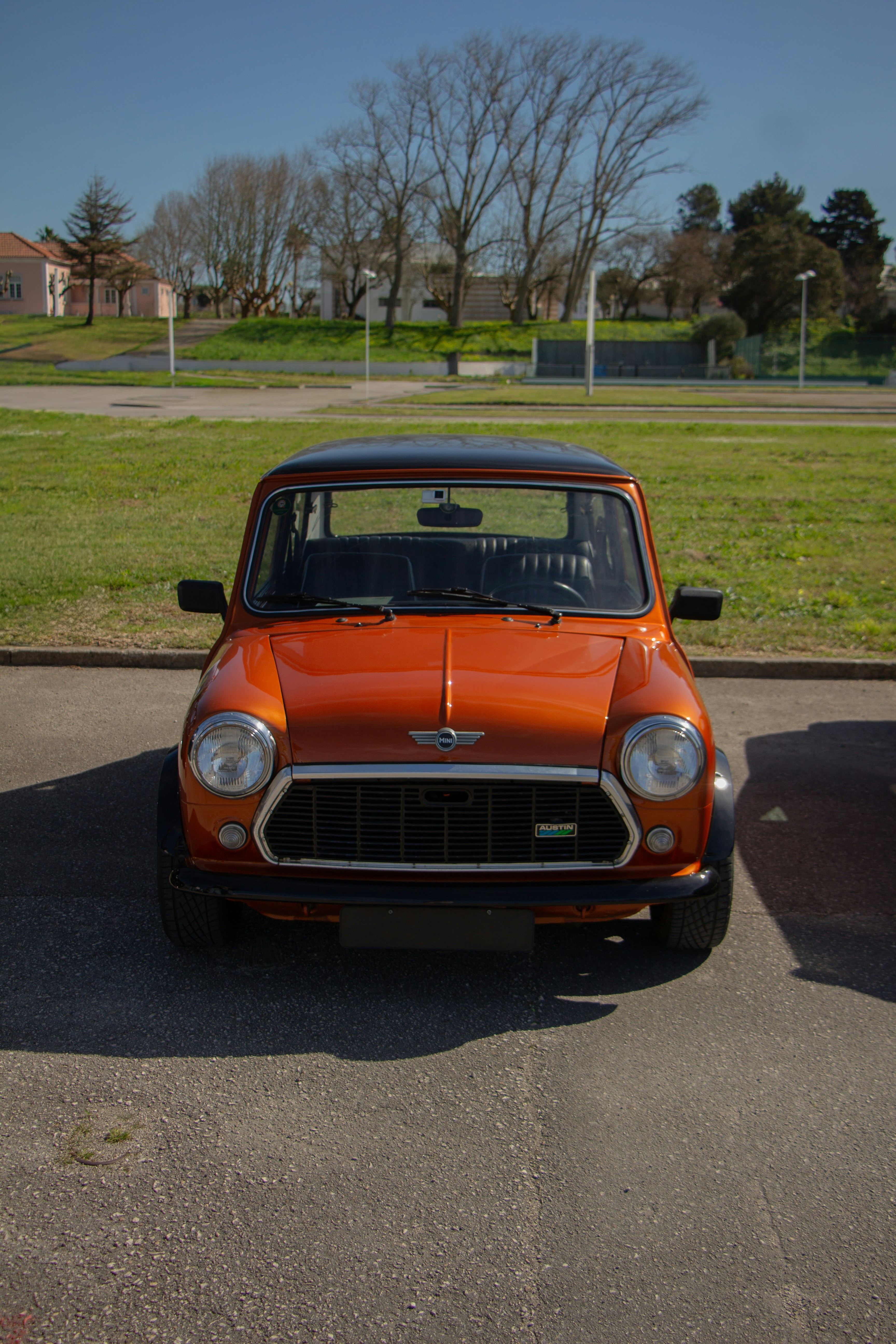 Orange Classic: A Front-Row View of a Vintage Mini in Quiet Park Light