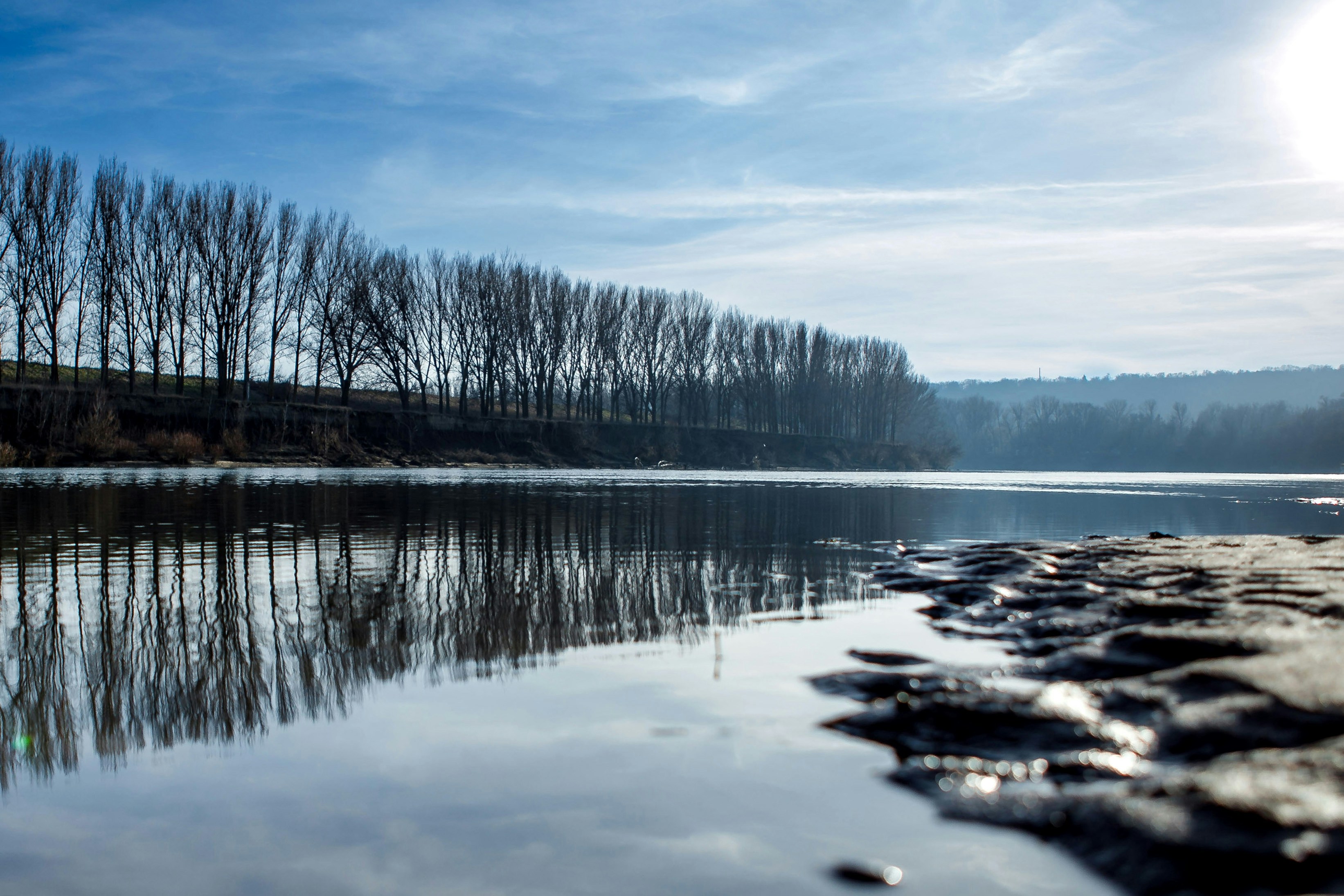 Horizon in the Glass: Winter Trees Reflect on a Quiet Lake