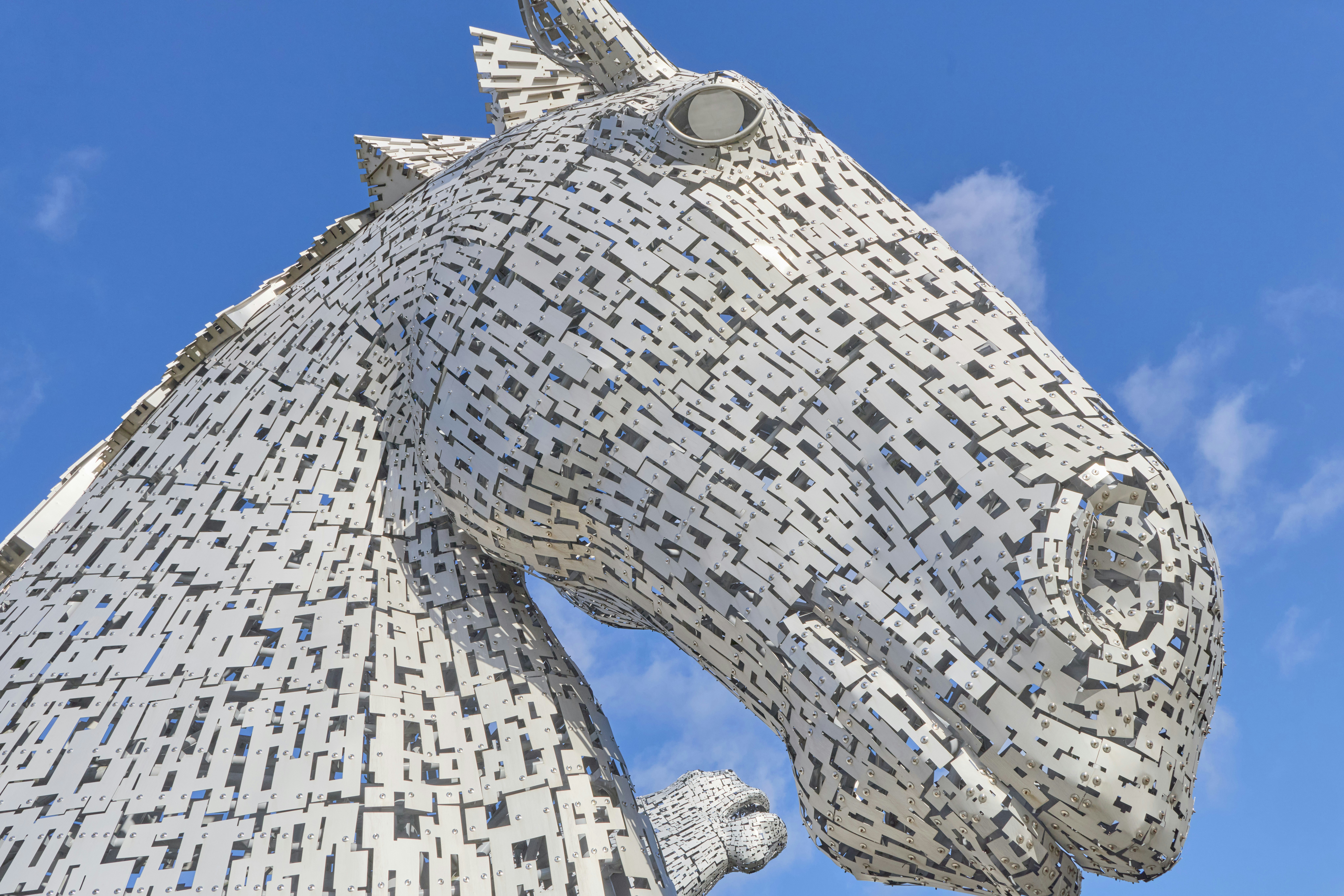 Metallic Mare Under a Clear Sky