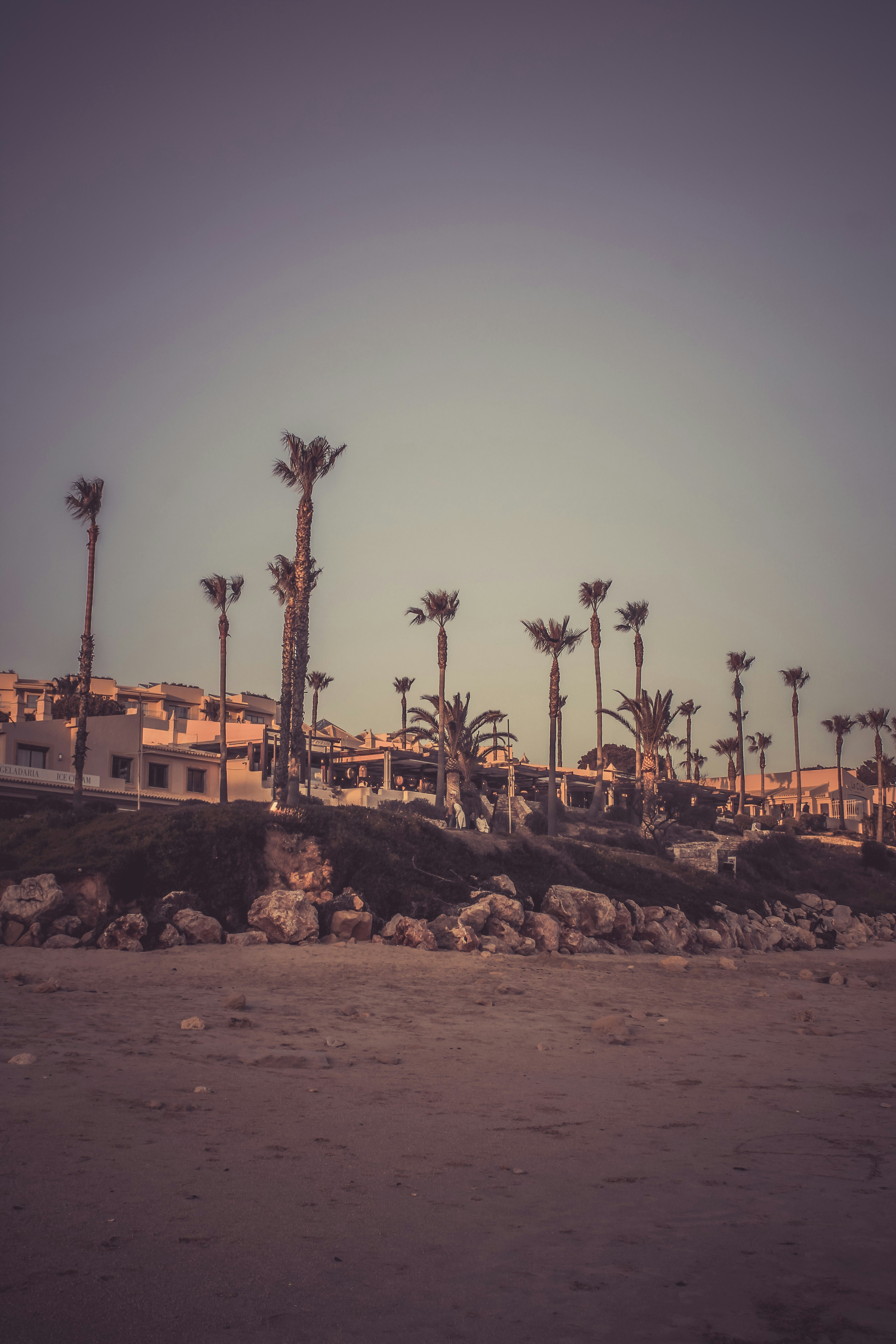 Palm-lined shoreline twilight over a quiet coastal town