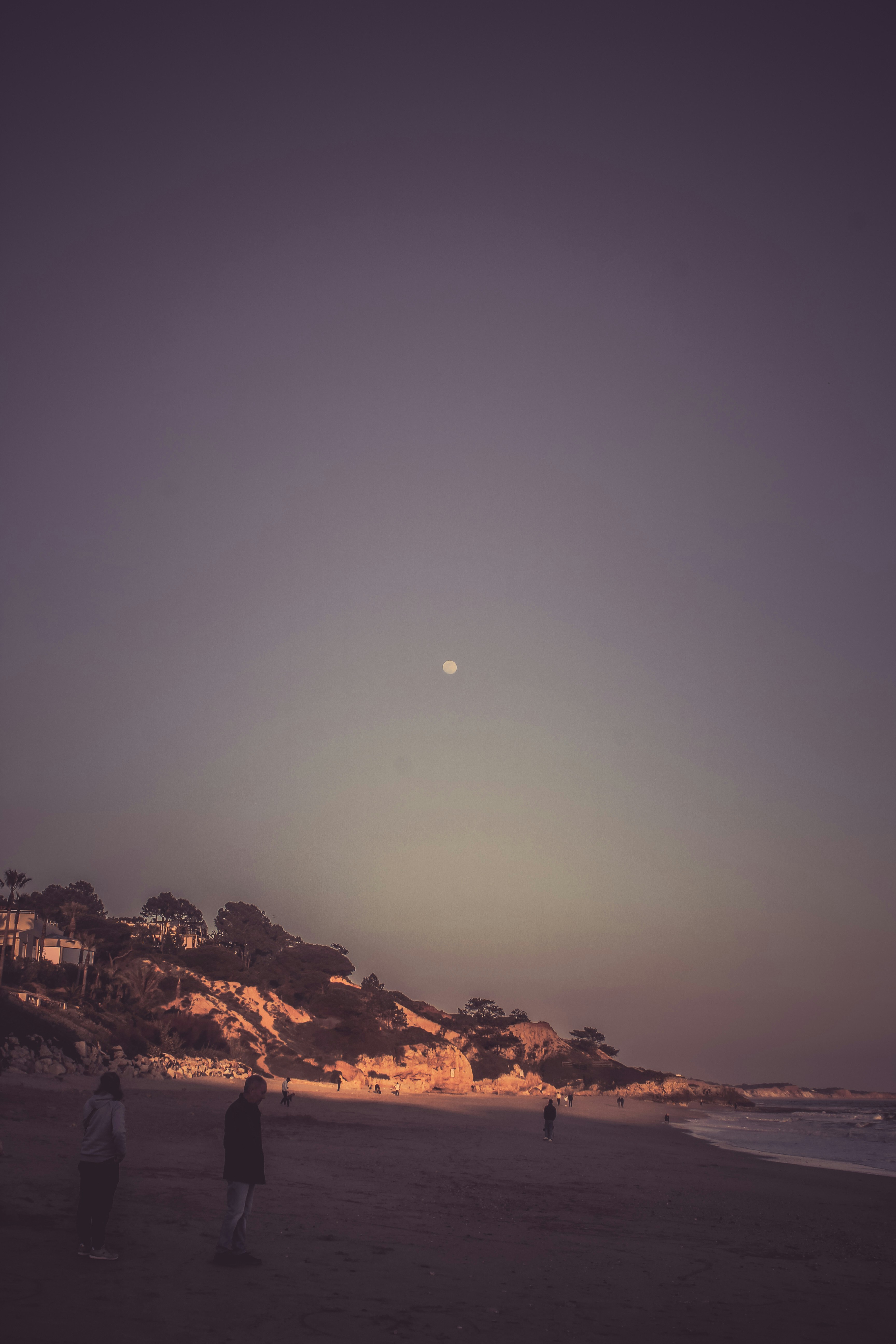 Moonlit shoreline silhouettes under a pastel dusk