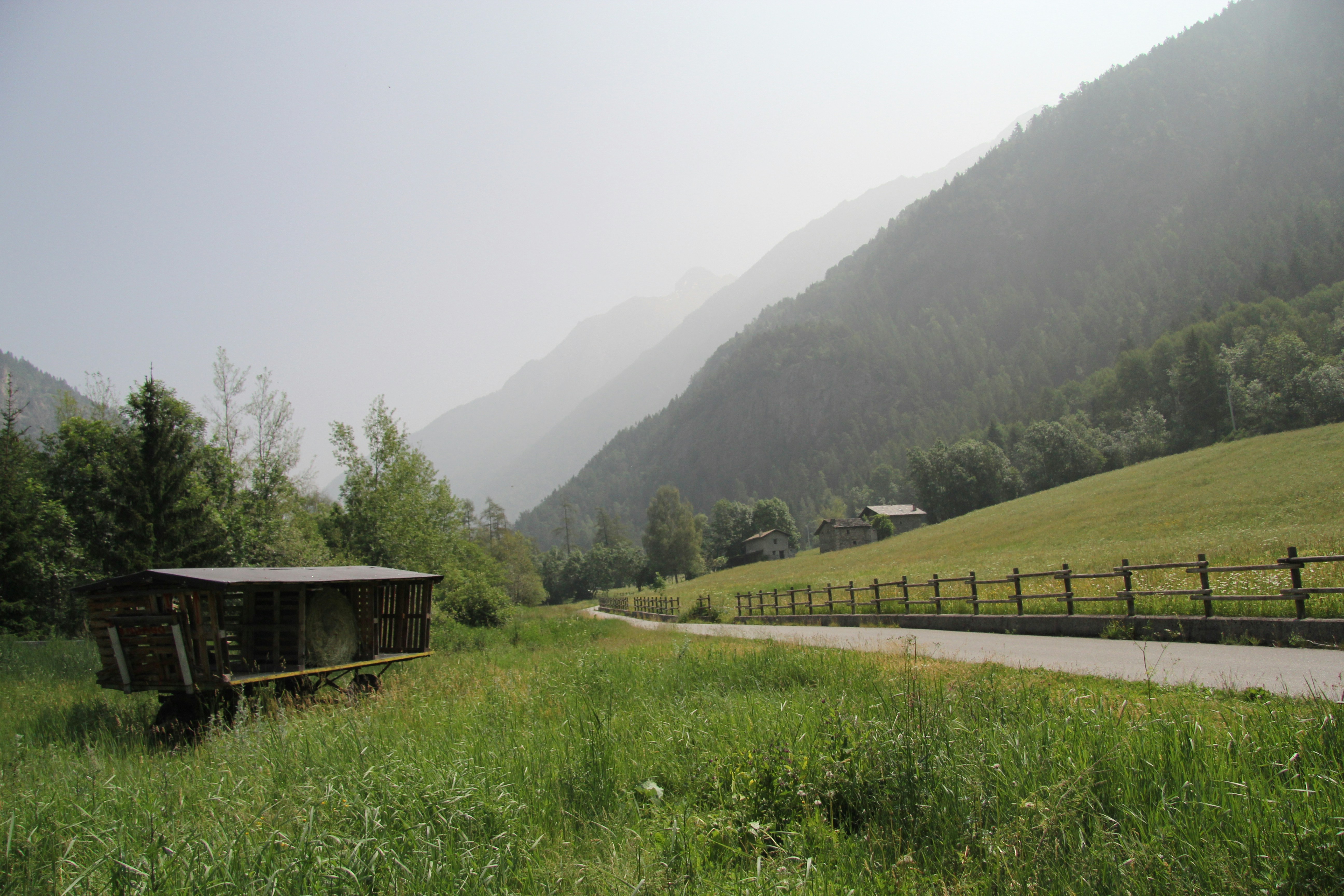 Pasture Pathway to the Misty Mountain Valley