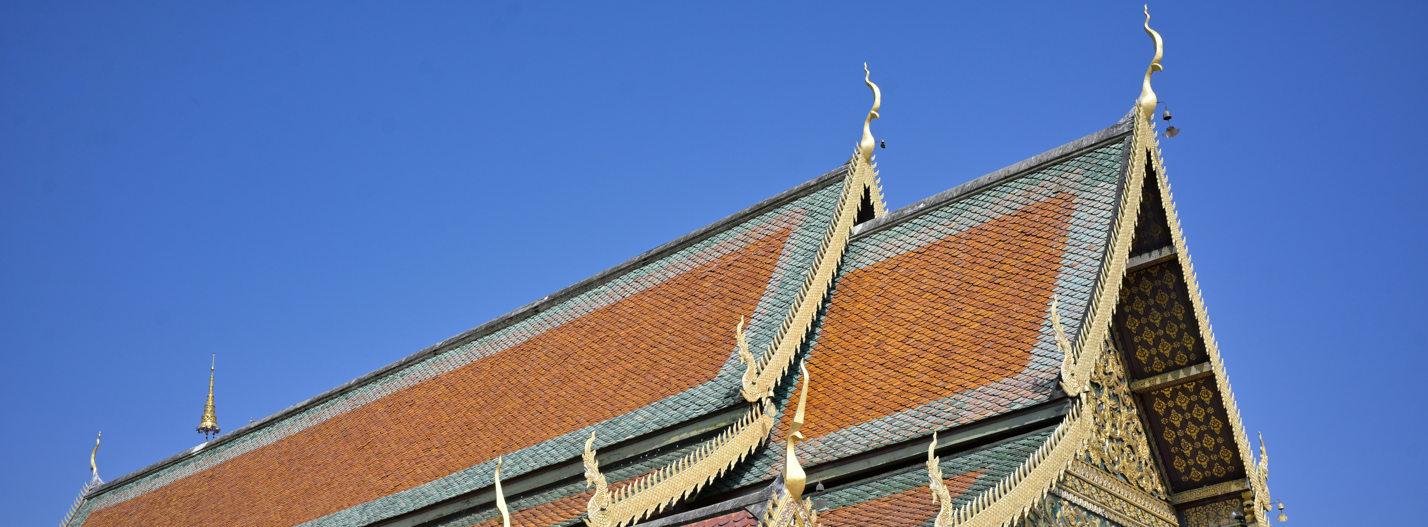 Ornate Rooflines Against a Clear Sky