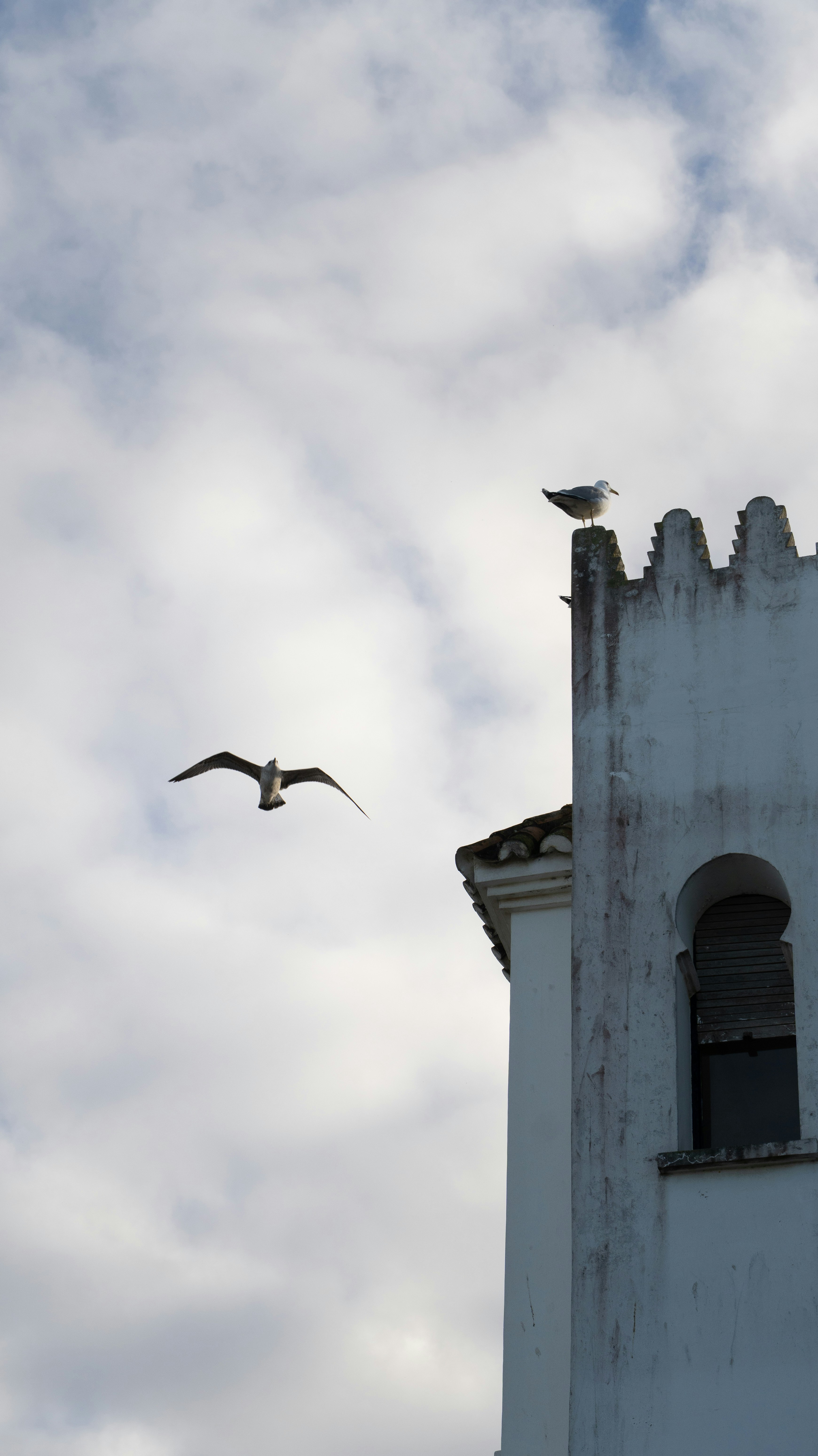 Seagulls over a weathered tower under a cloudy sky