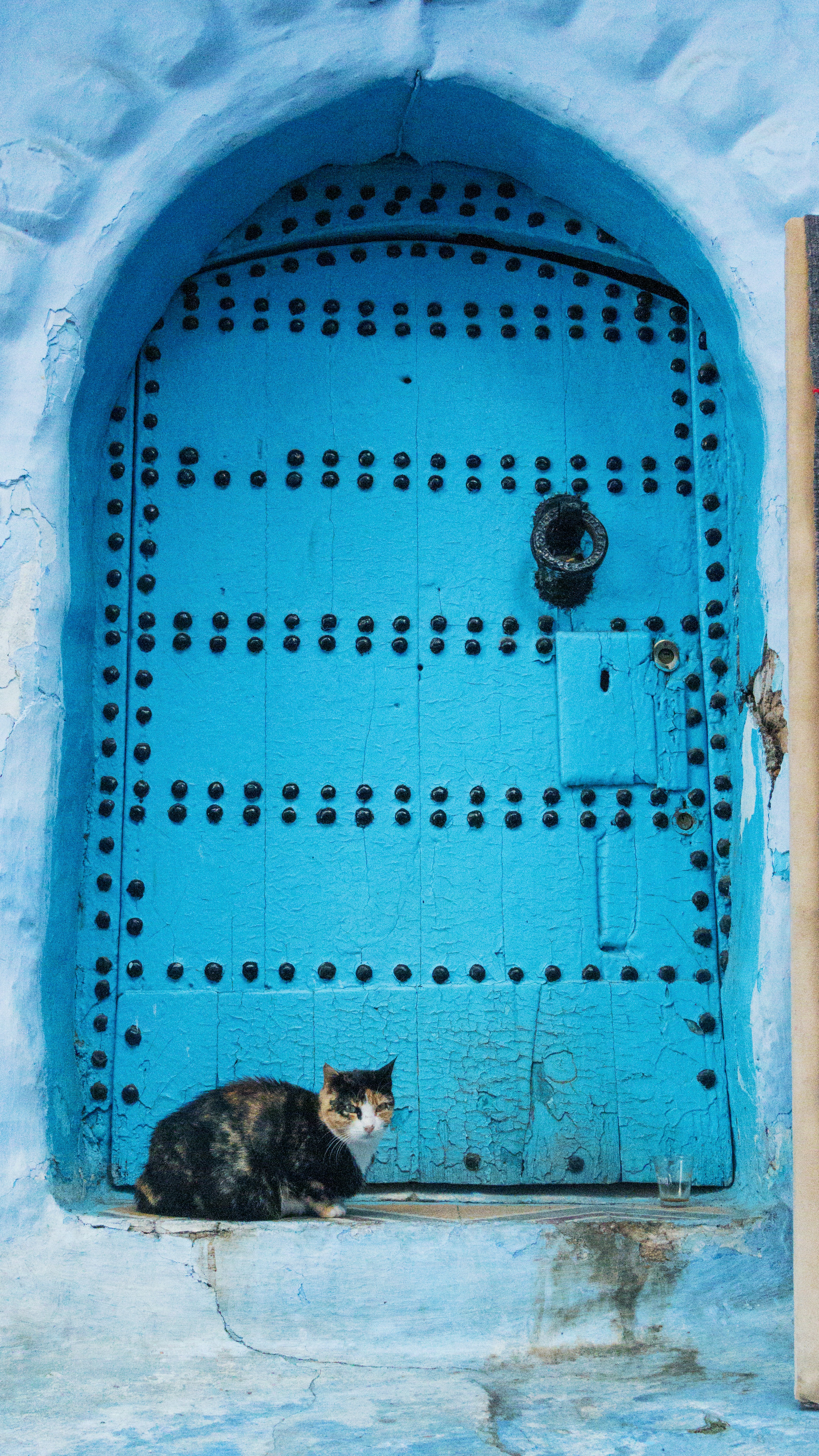 Blue Doorway Guardian: A Cat at the Threshold of a Mediterranean Archway