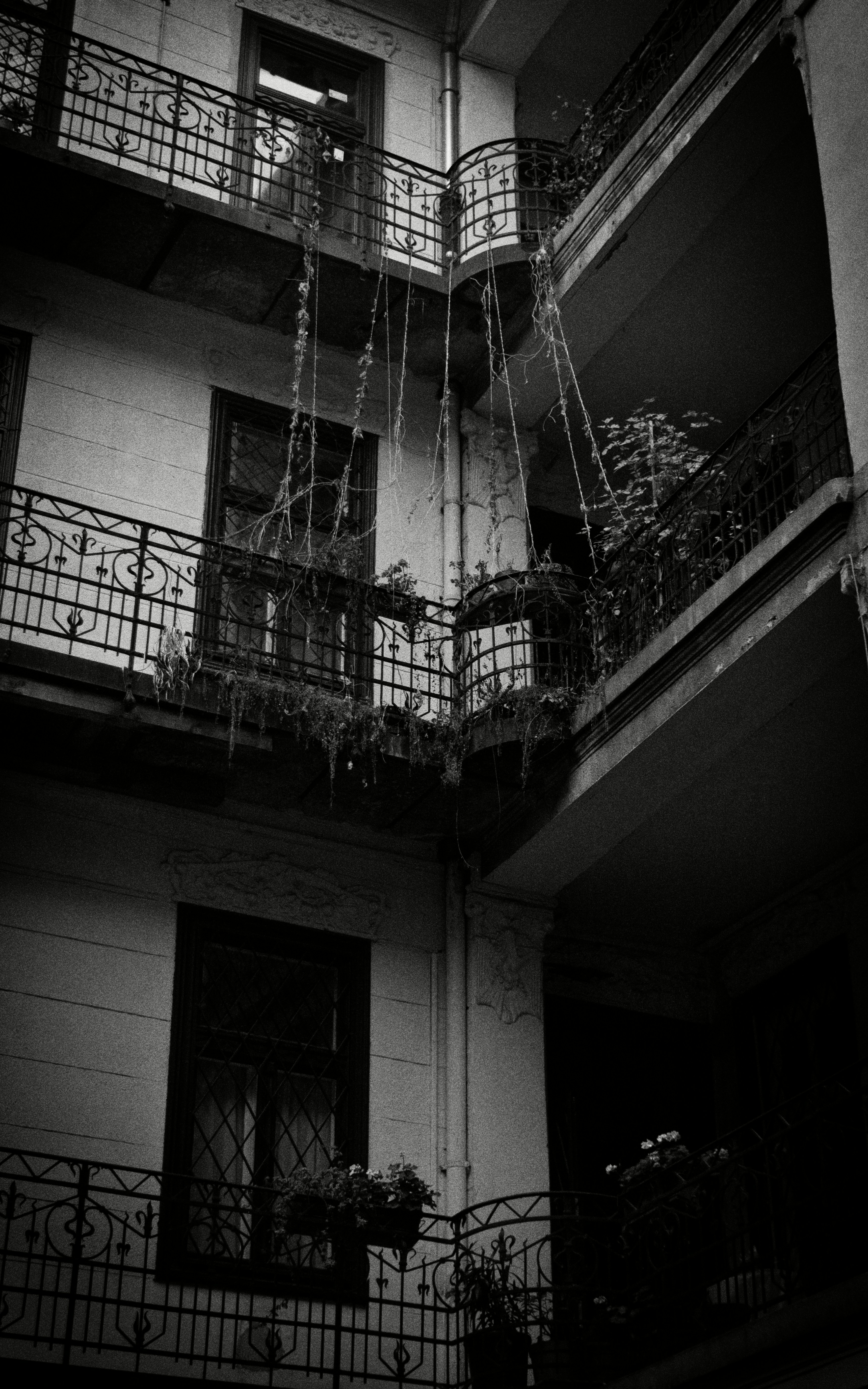 Overgrown Balcony: Quiet Decay in a Black-and-White Atrium