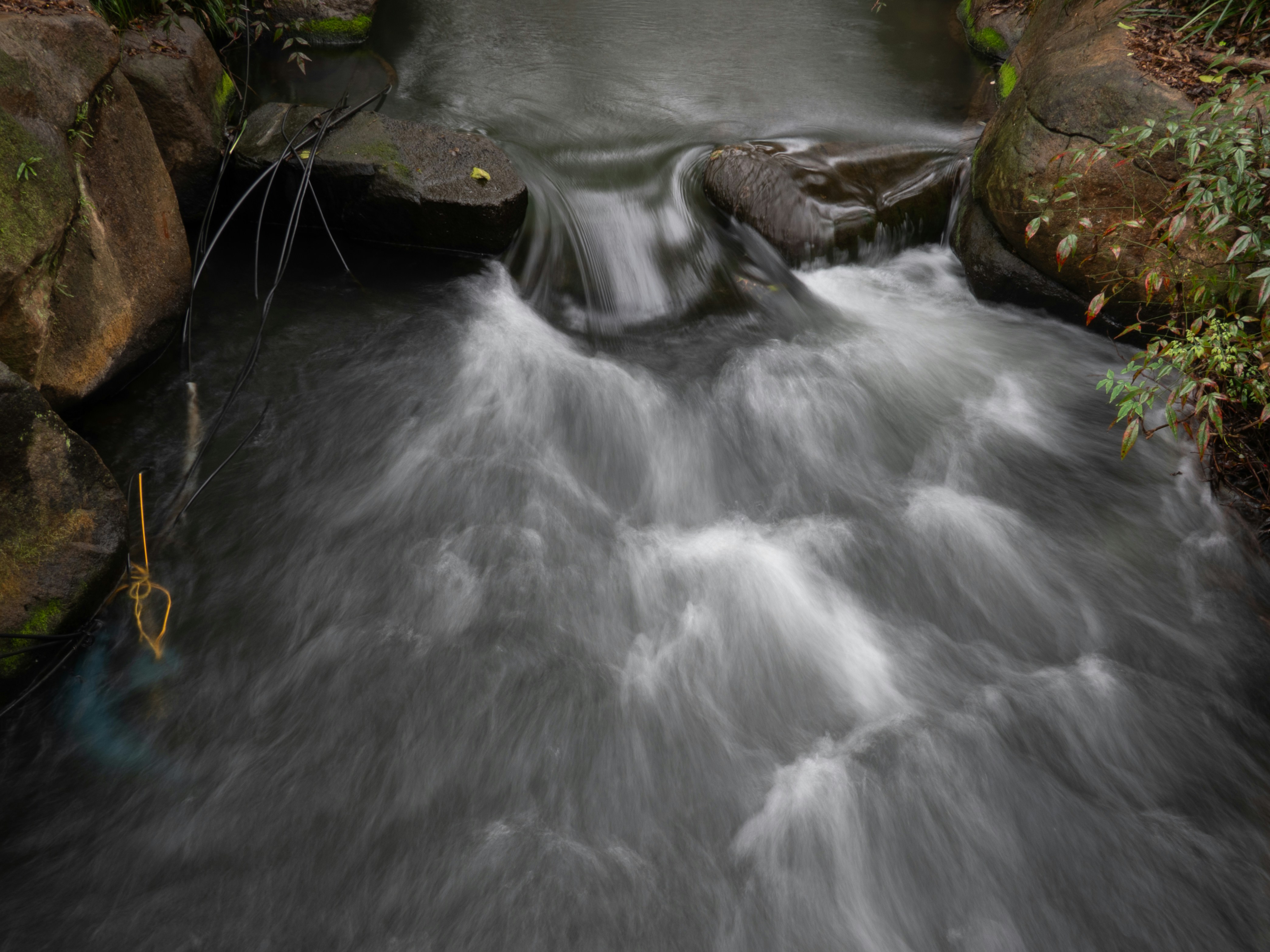 Whispering Rapids Through Mossy Stones
