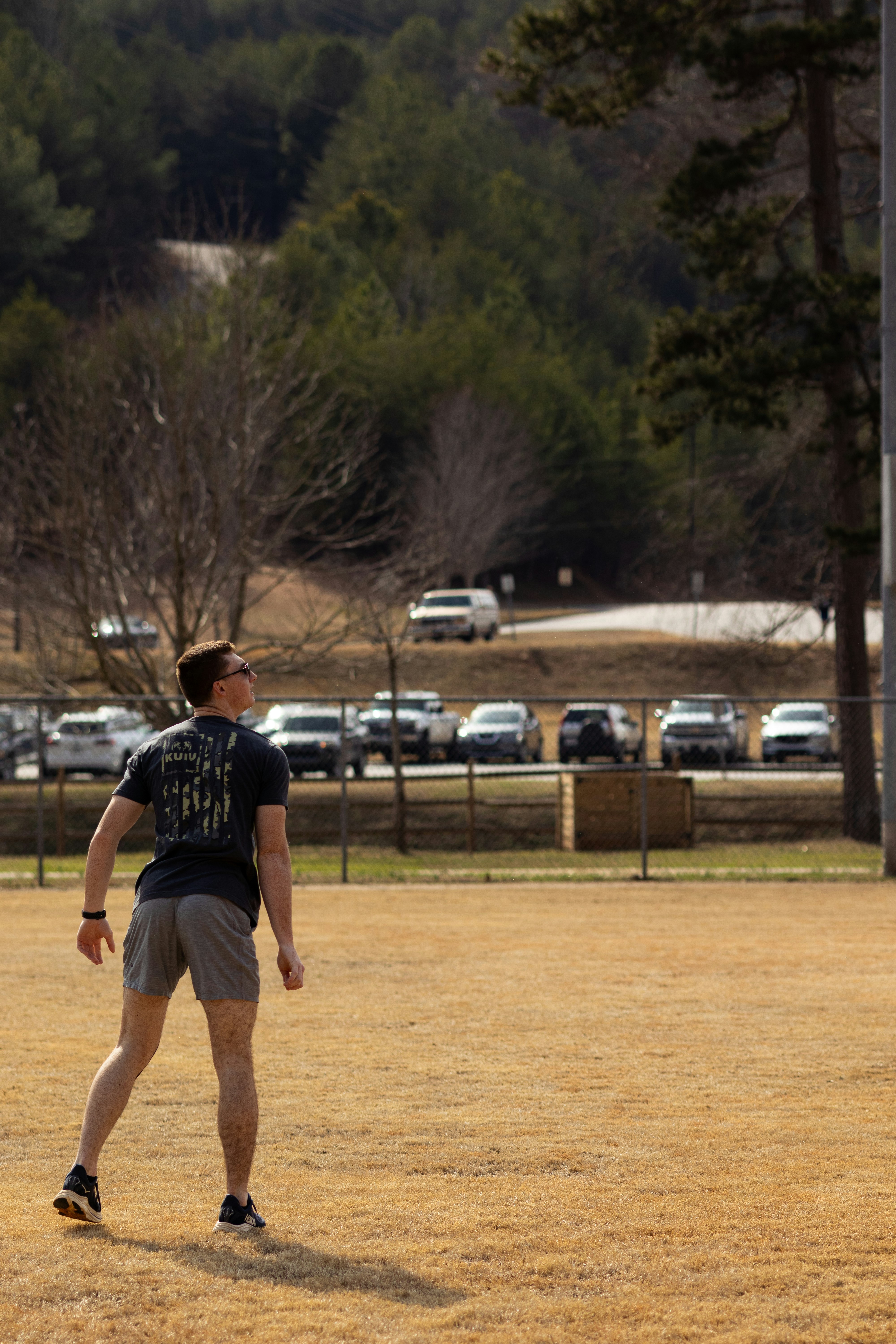 Lone yard wanderer steps into the sunlit field