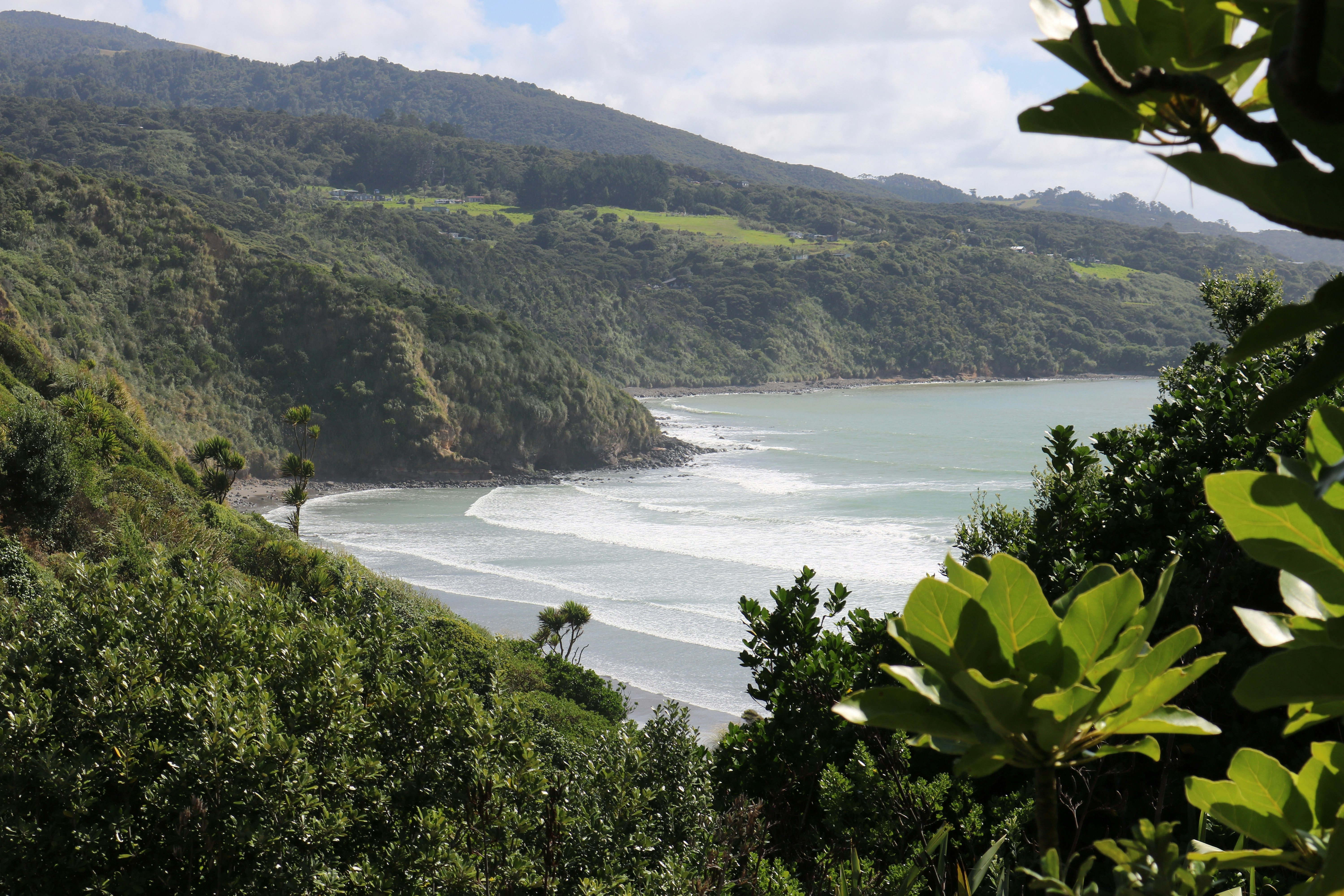 Coastal Ridge Whispers: Green Hills Meet the Sea