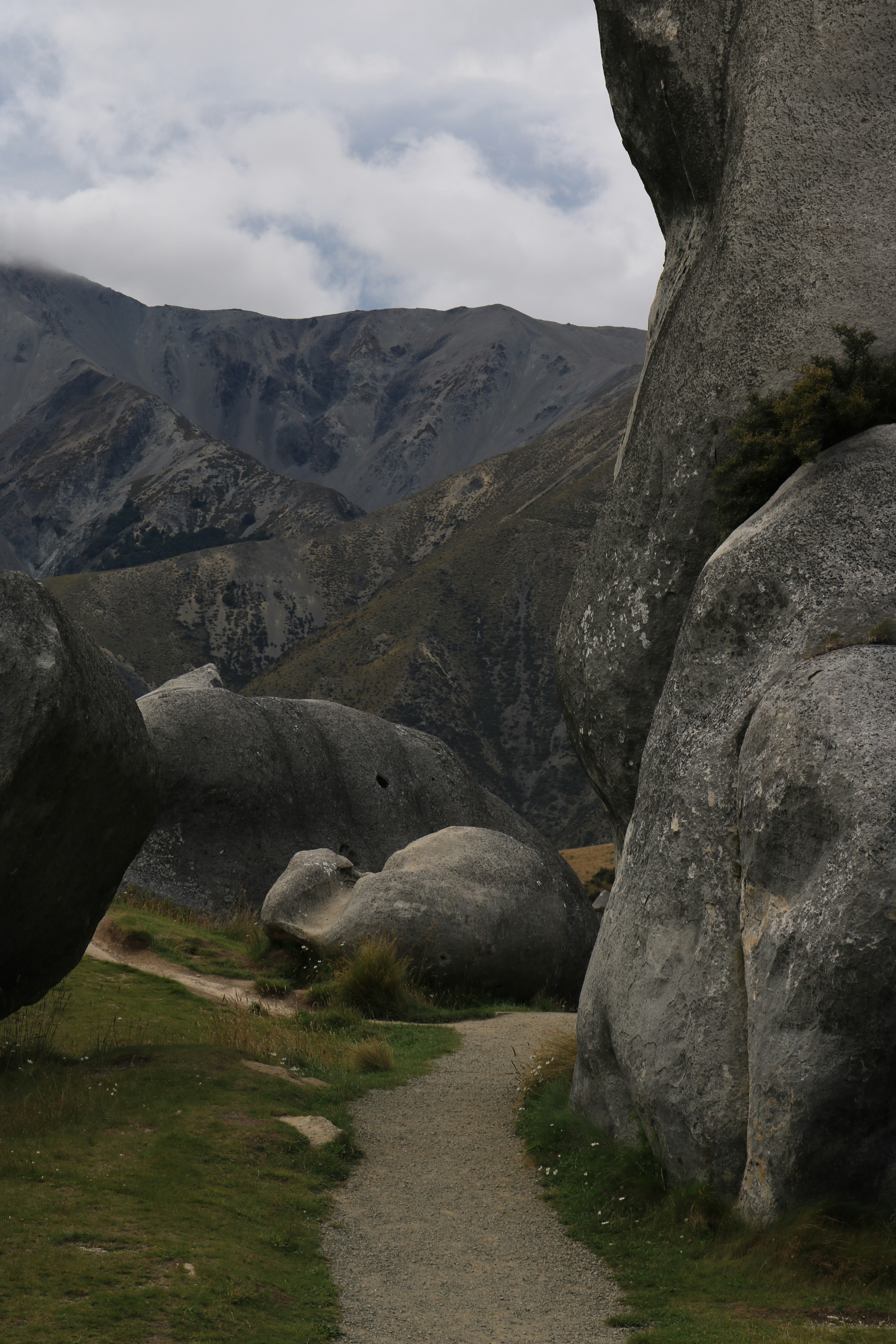 Stone Path Through Giants: A Quiet Canyon Walk