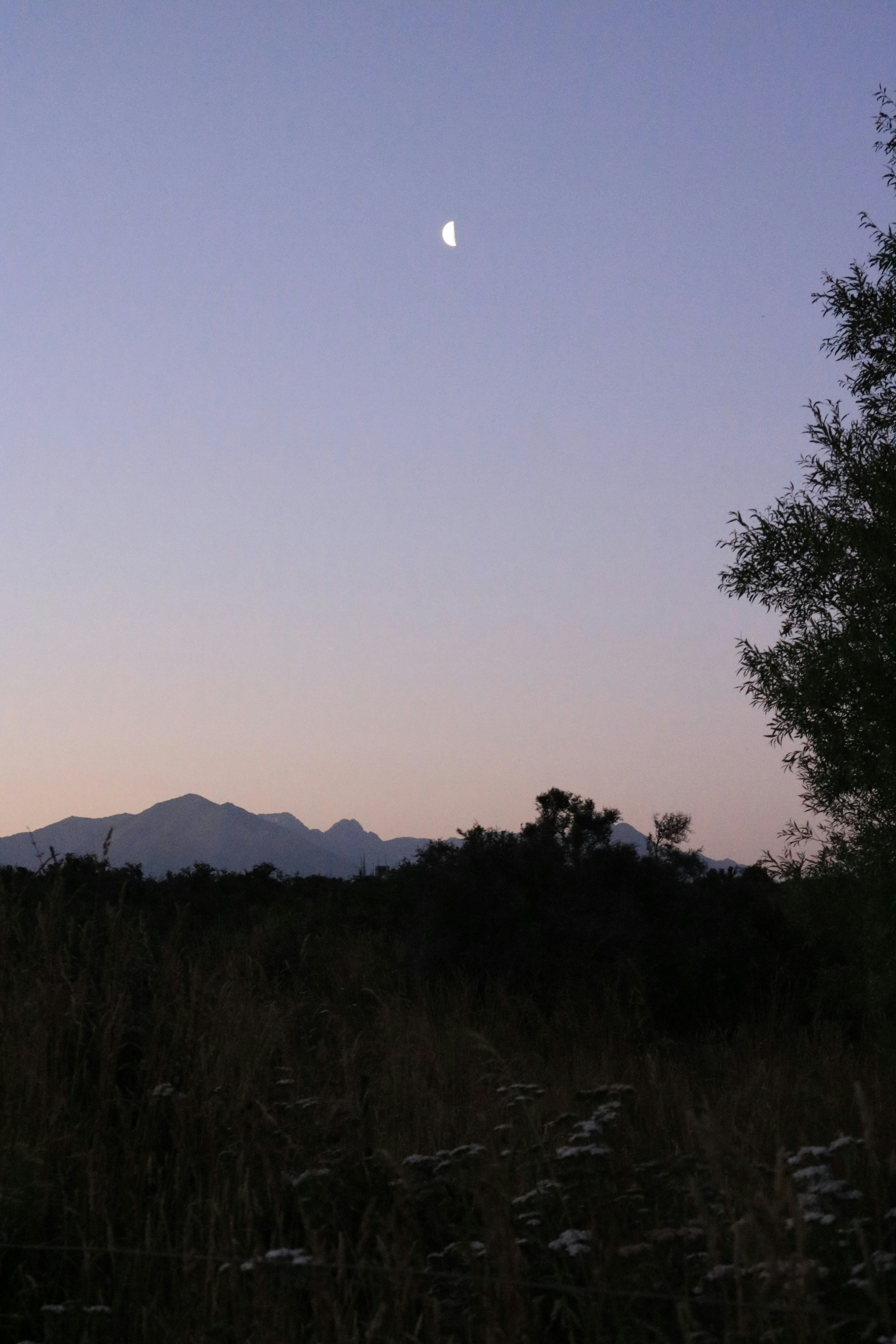 Last Light Over Silent Hills Under a Crescent Moon