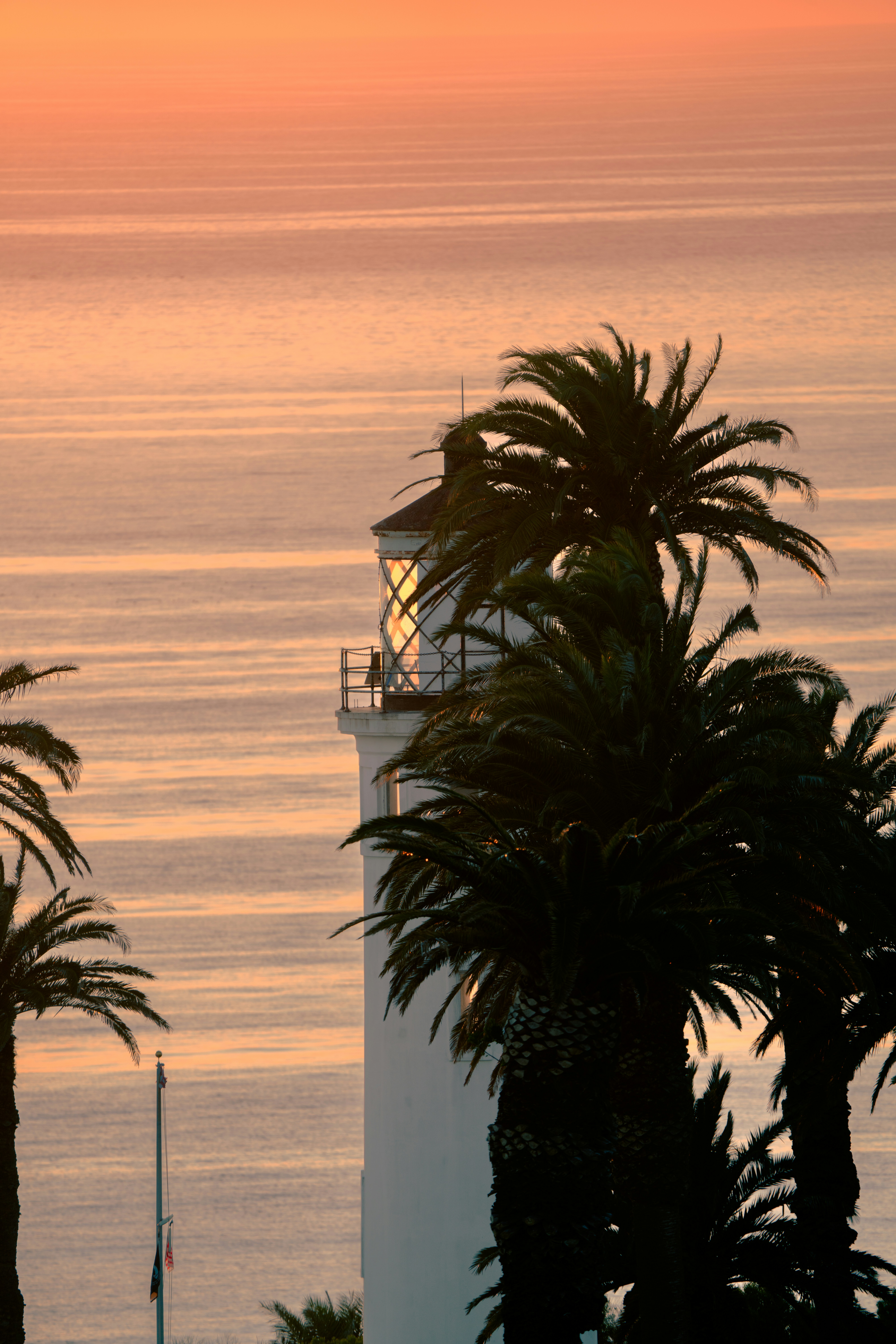 Sunset Beacon: Palm-Silhouetted Lighthouse on Quiet Waves