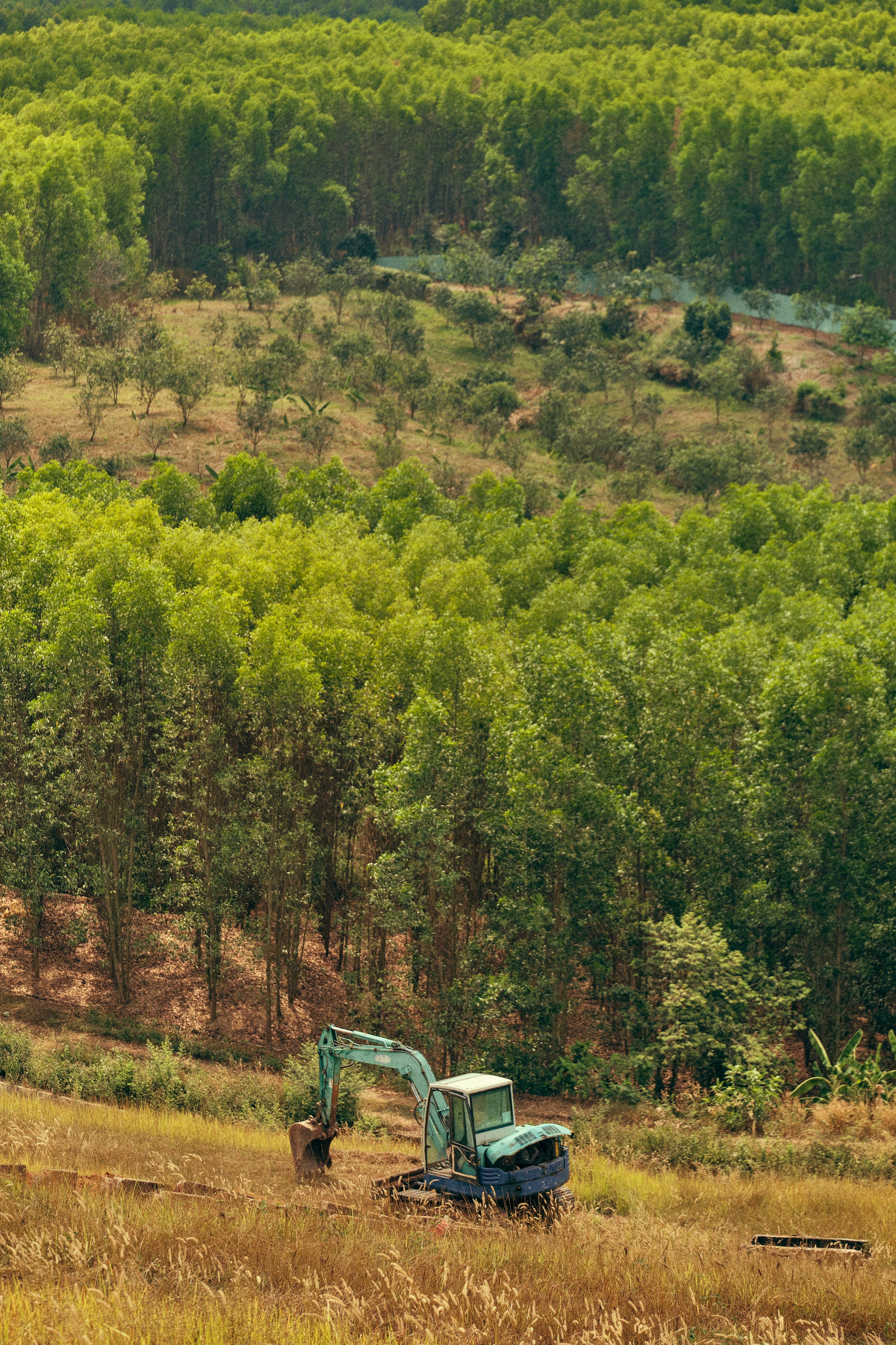 Blue excavator at the edge of a sunlit field under a forest