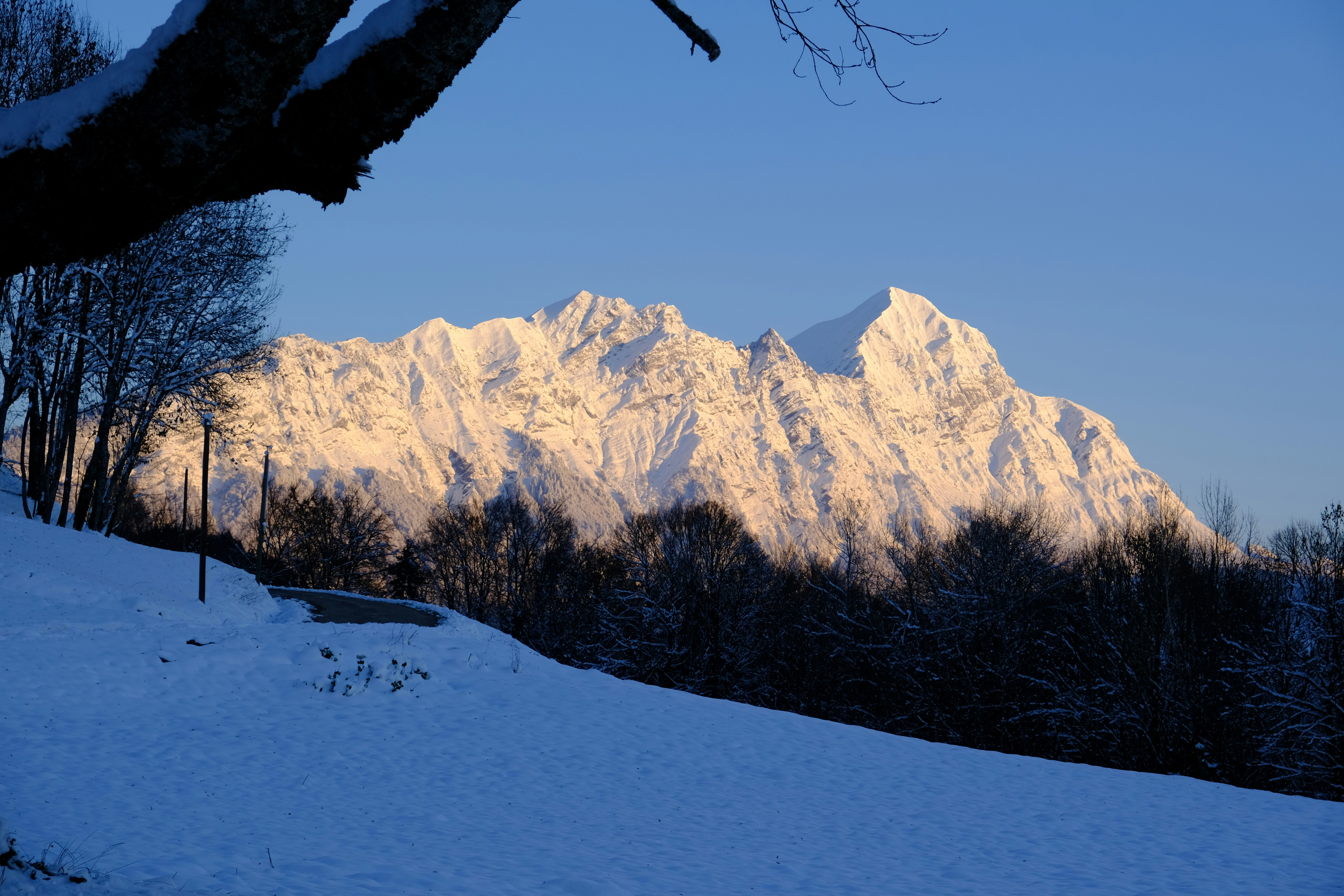 Golden Peak in Winter Light