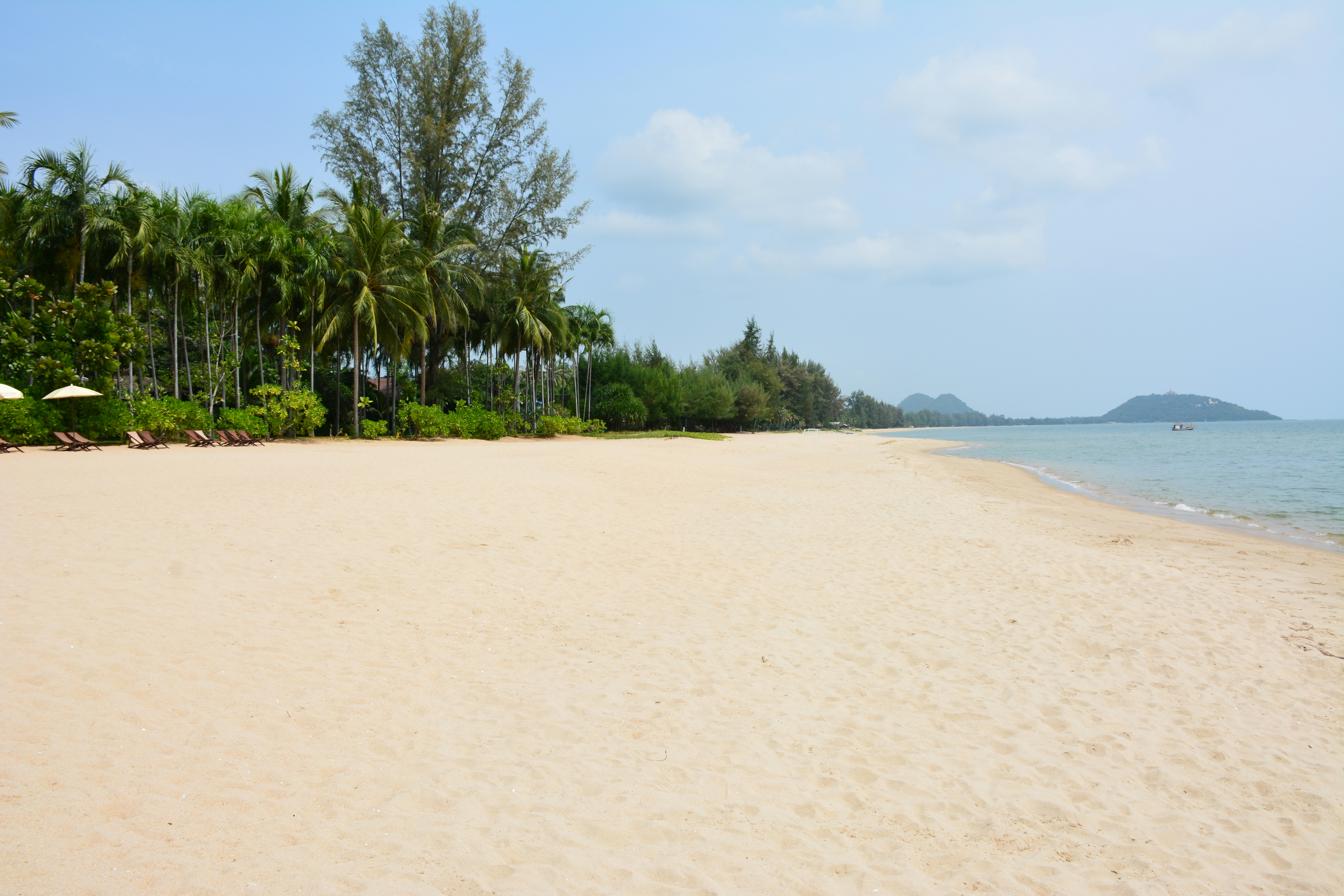 Quiet Tropical Shoreline: Golden Sand, Palm Line, and Distant Isles