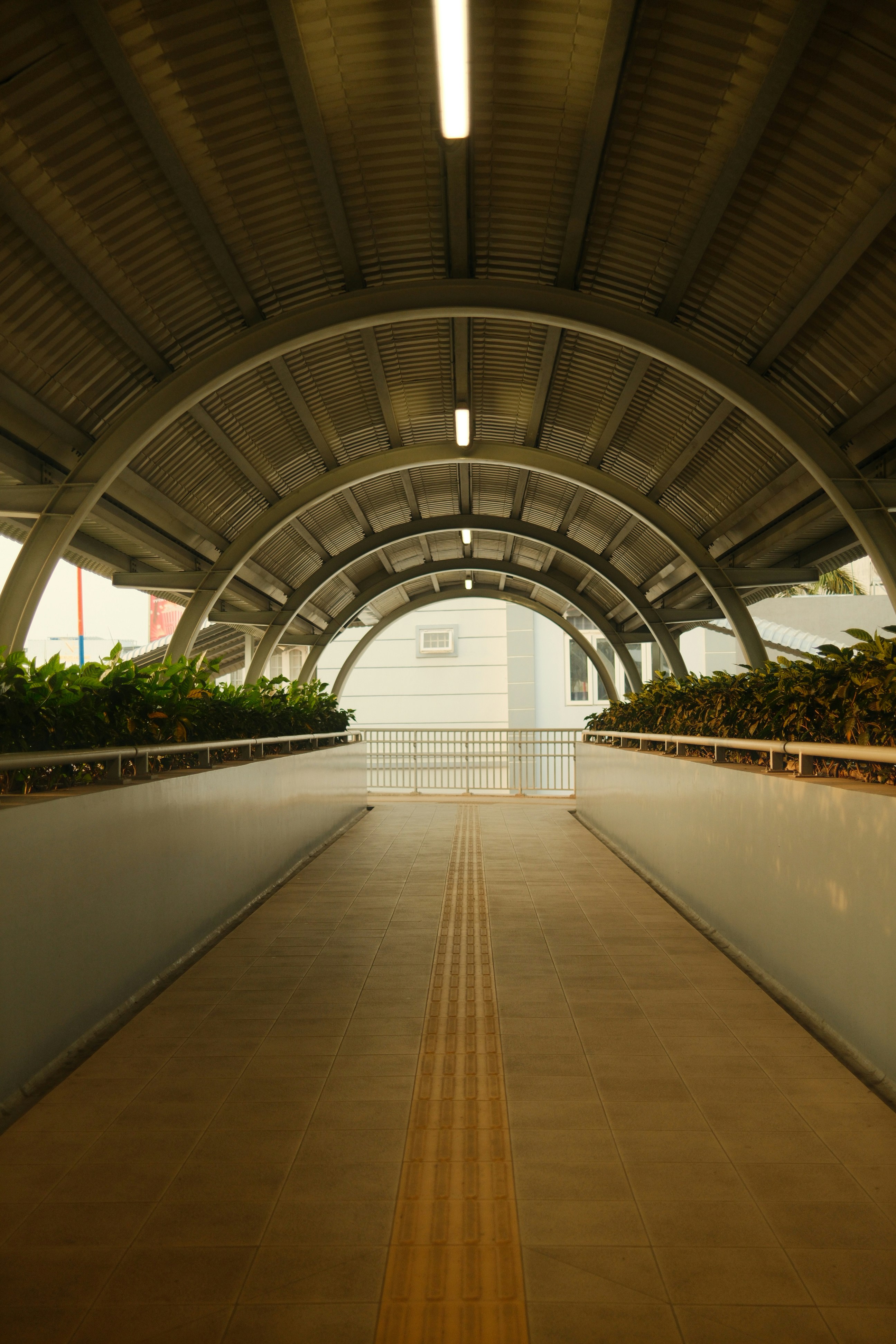 Curved Corridor to the Light: A Walk Through the Archway