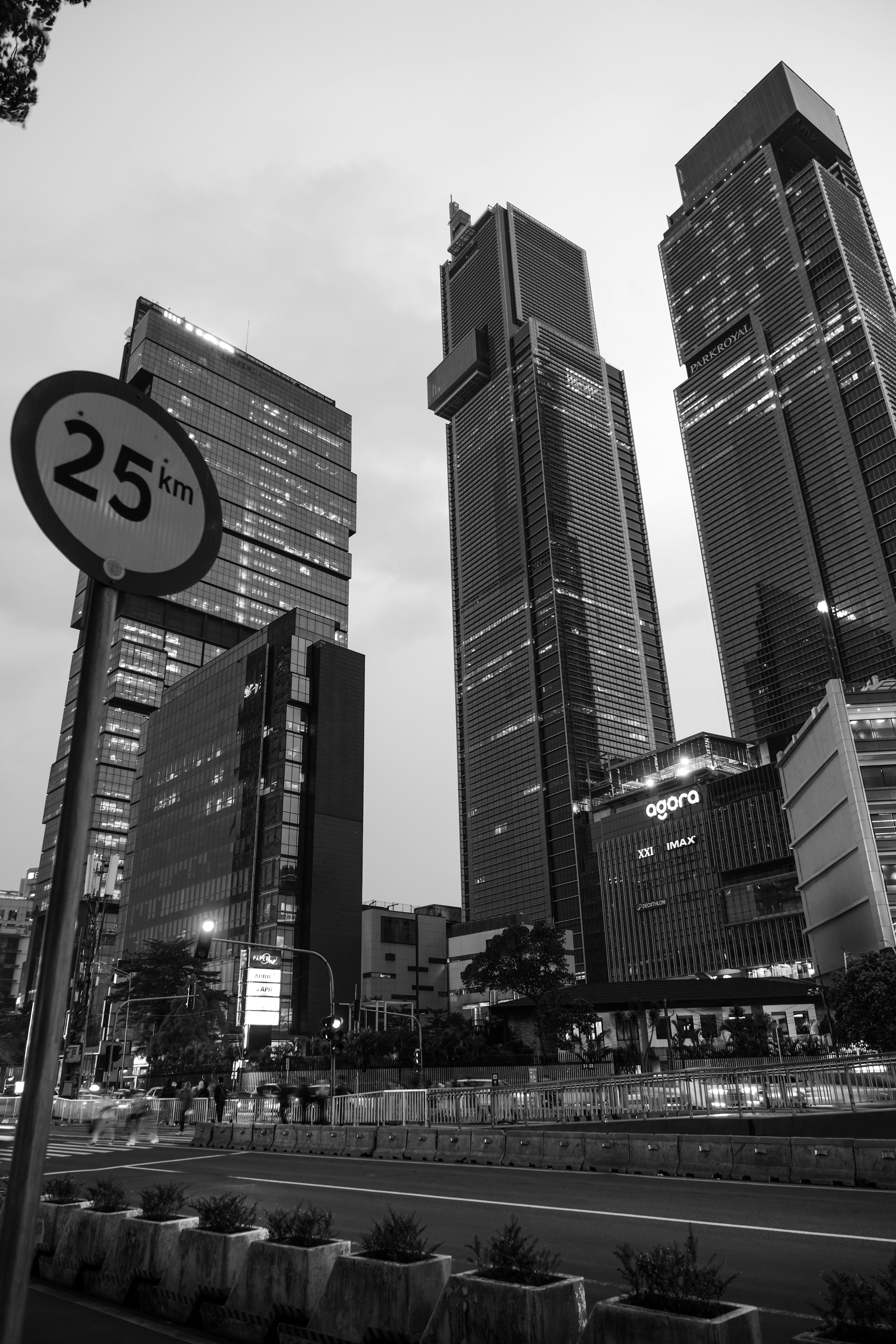 Urban Monoliths at Dusk: A Black-and-White Skyline