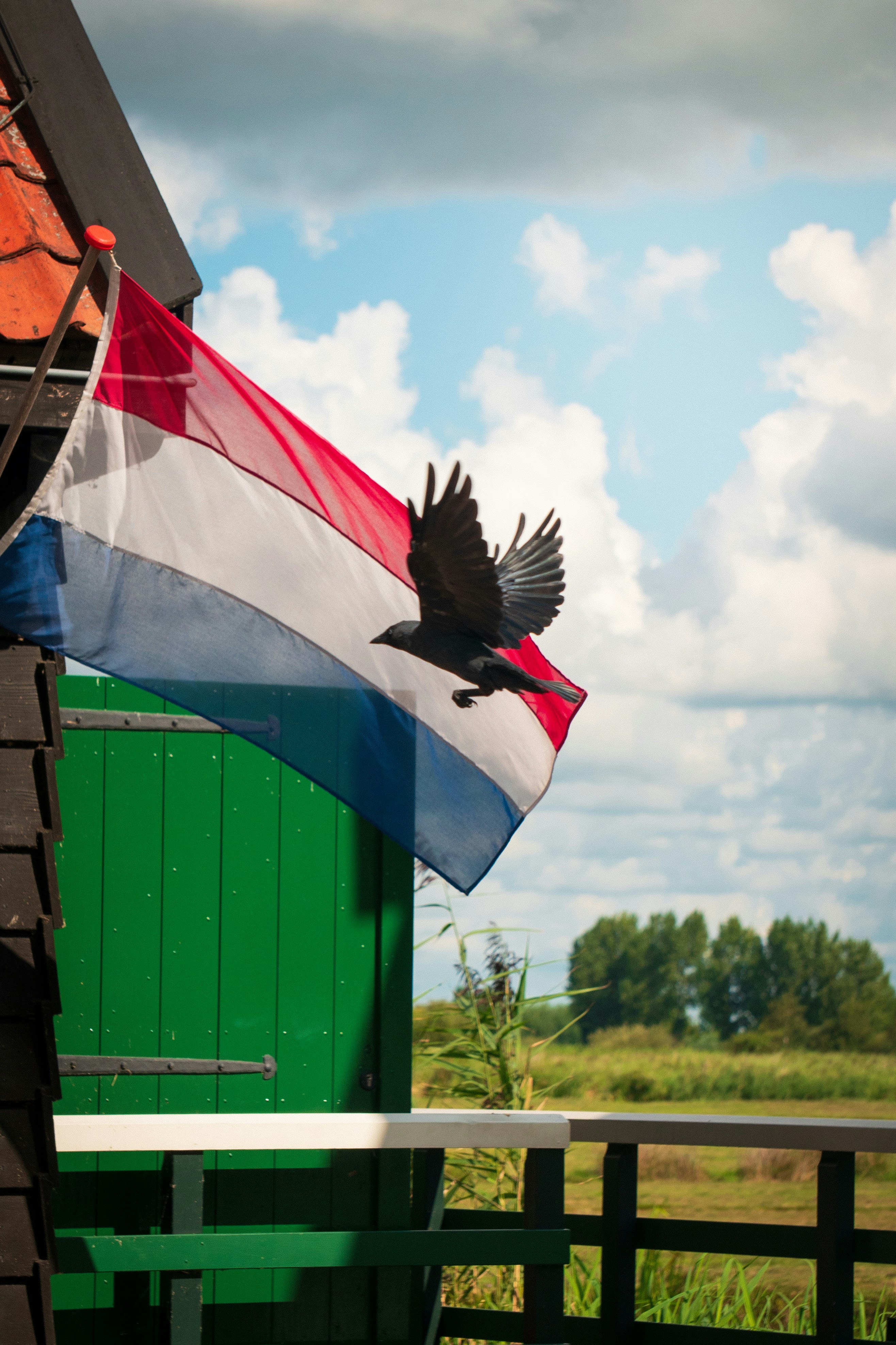 Flag in Flight: A Dutch Banner over a Green Nook