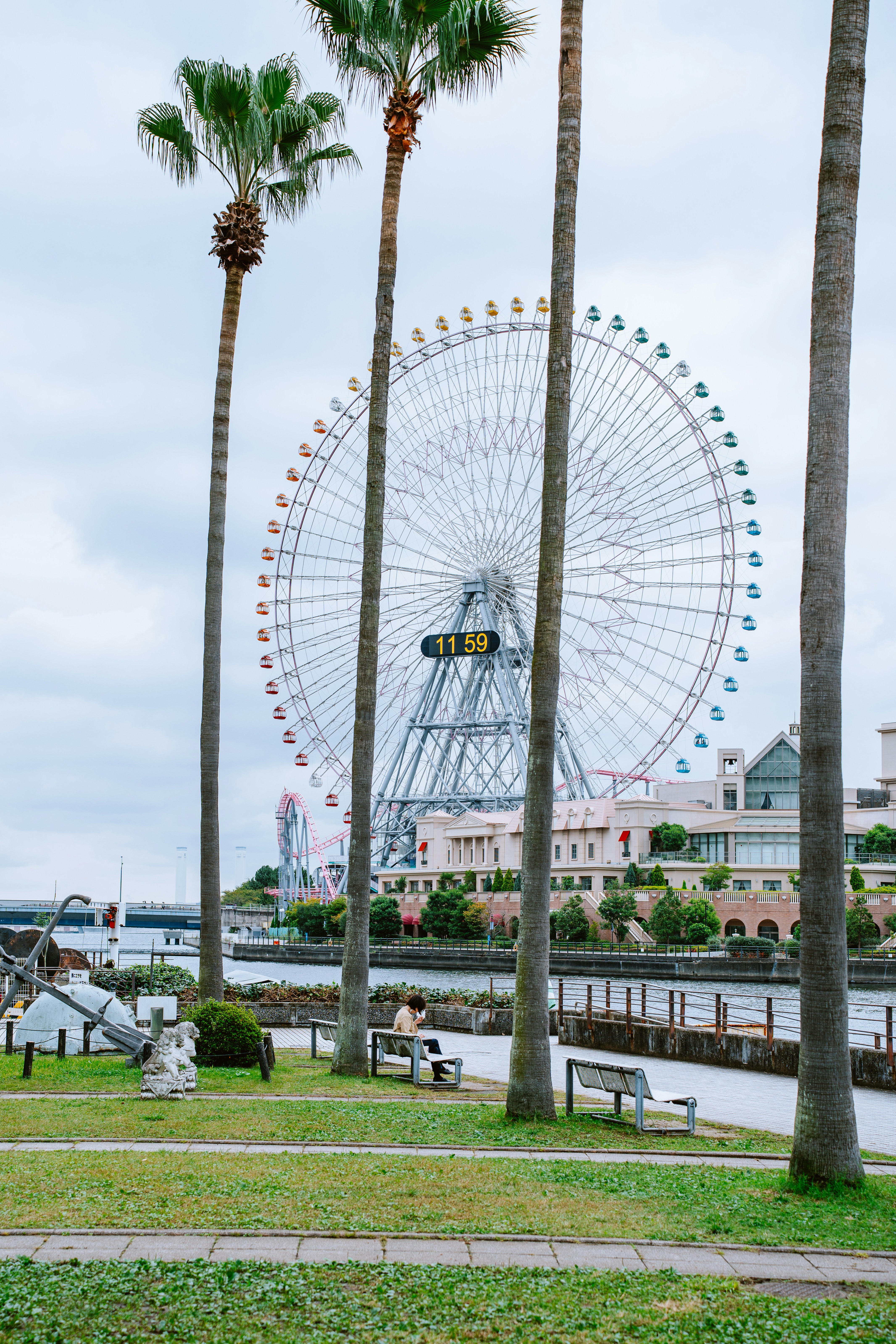 Palm Frames the Giant Wheel by the Waterfront