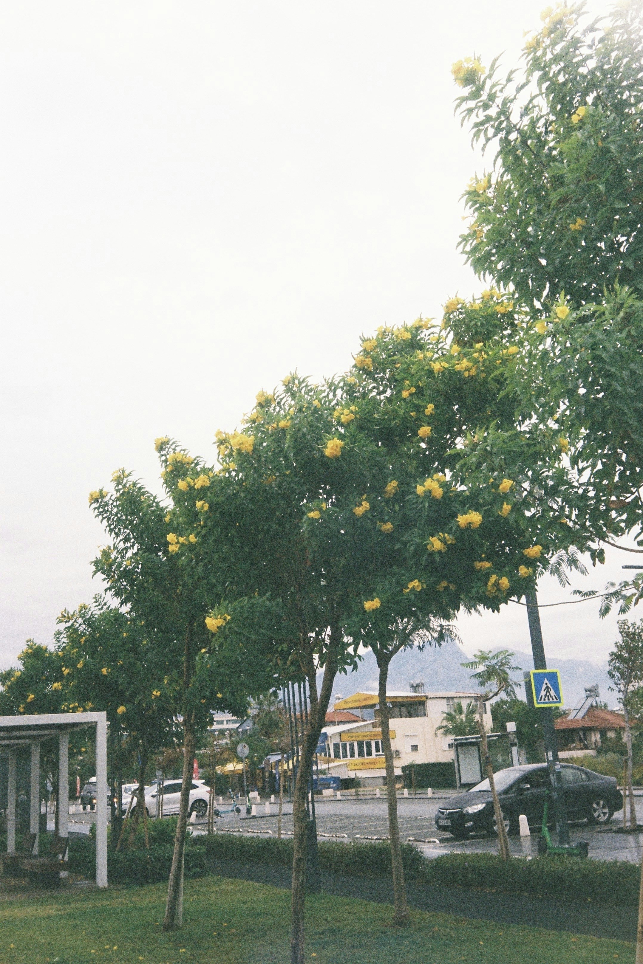 Antalya, Turkey 35mm 35mm film zorki4 analog photography film photography turkey antalya sunset sea sea beach