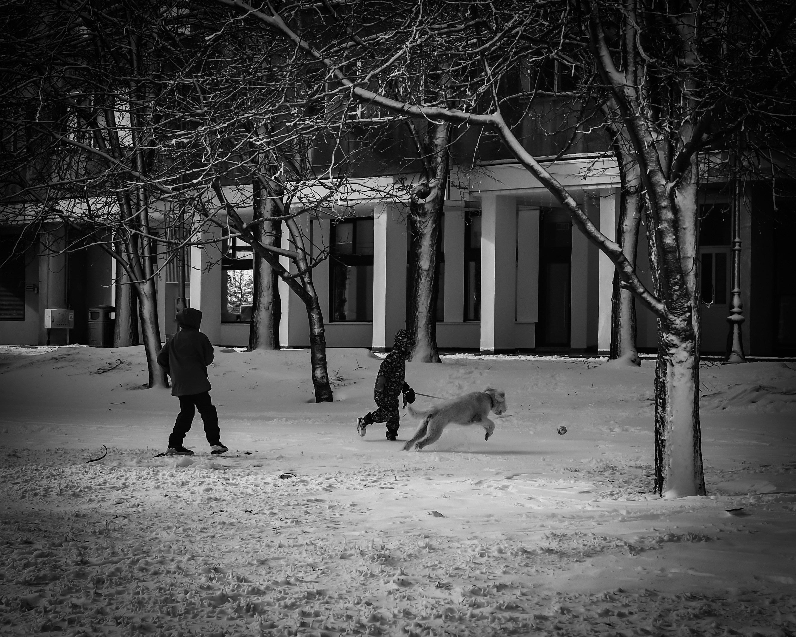 Winter chase across the quiet campus