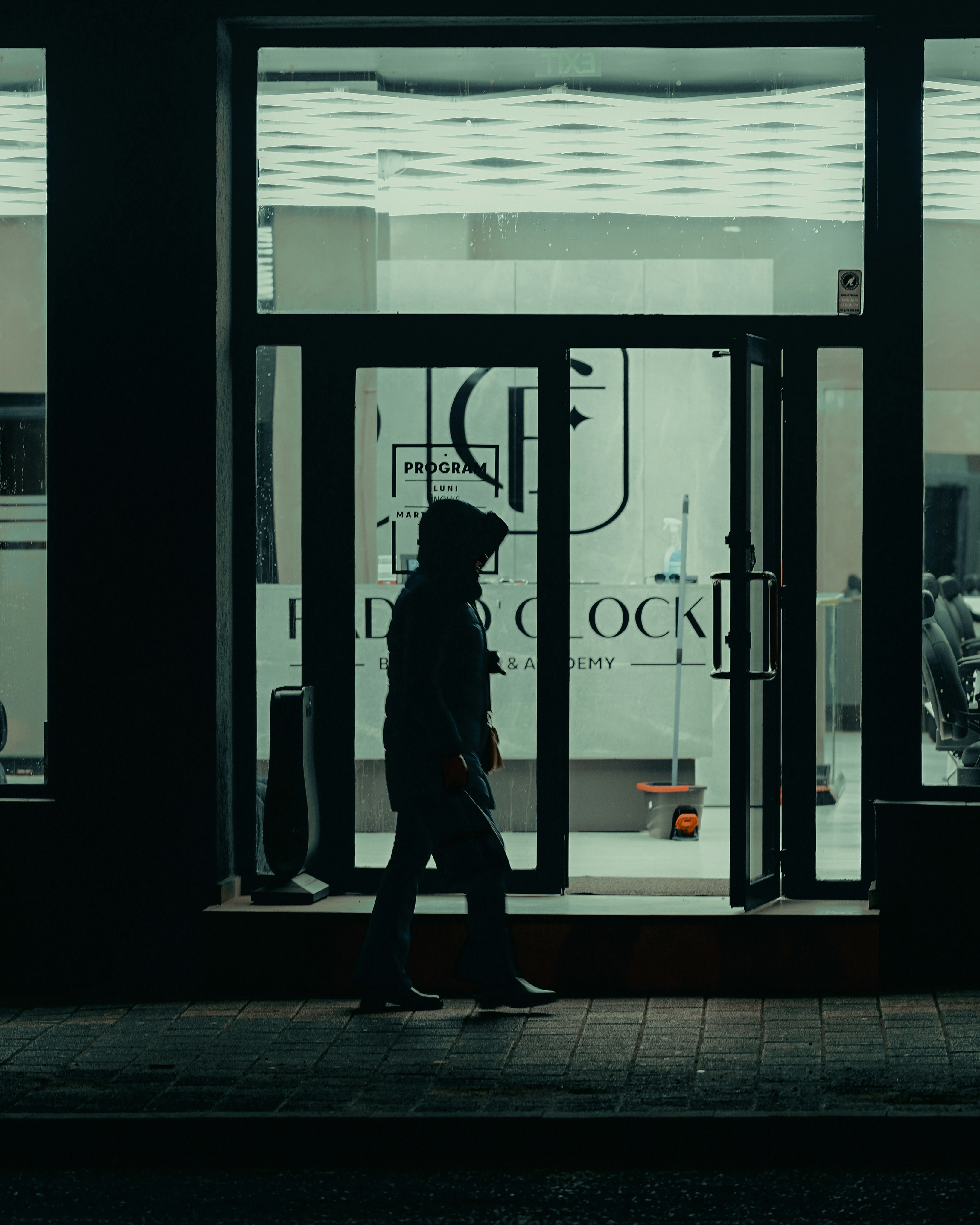 Silhouette in the Glass Threshold