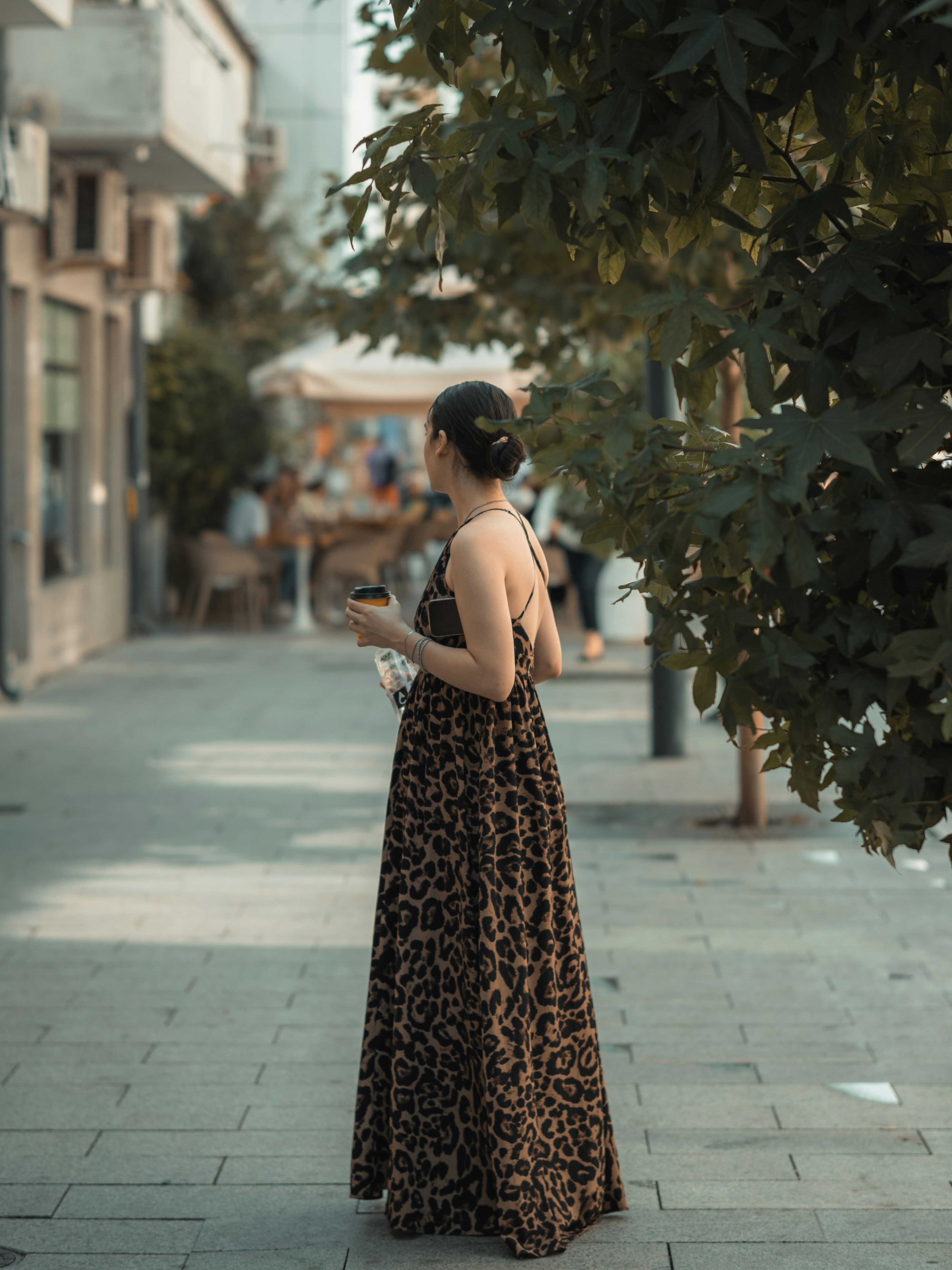 Leopard Elegance on a Quiet City Walk
