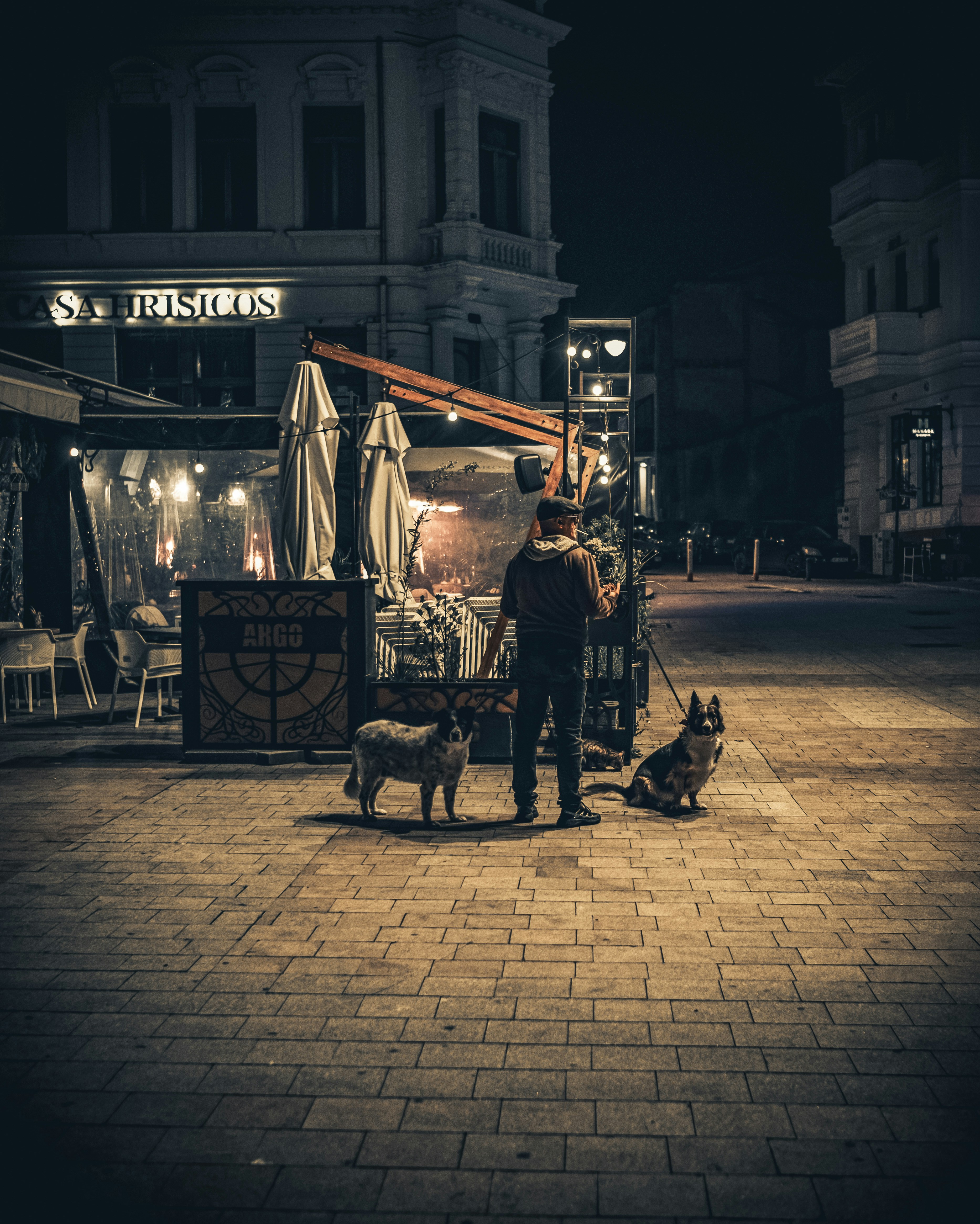 Nightfall at the Terrace: A Man with Two Dogs Waiting